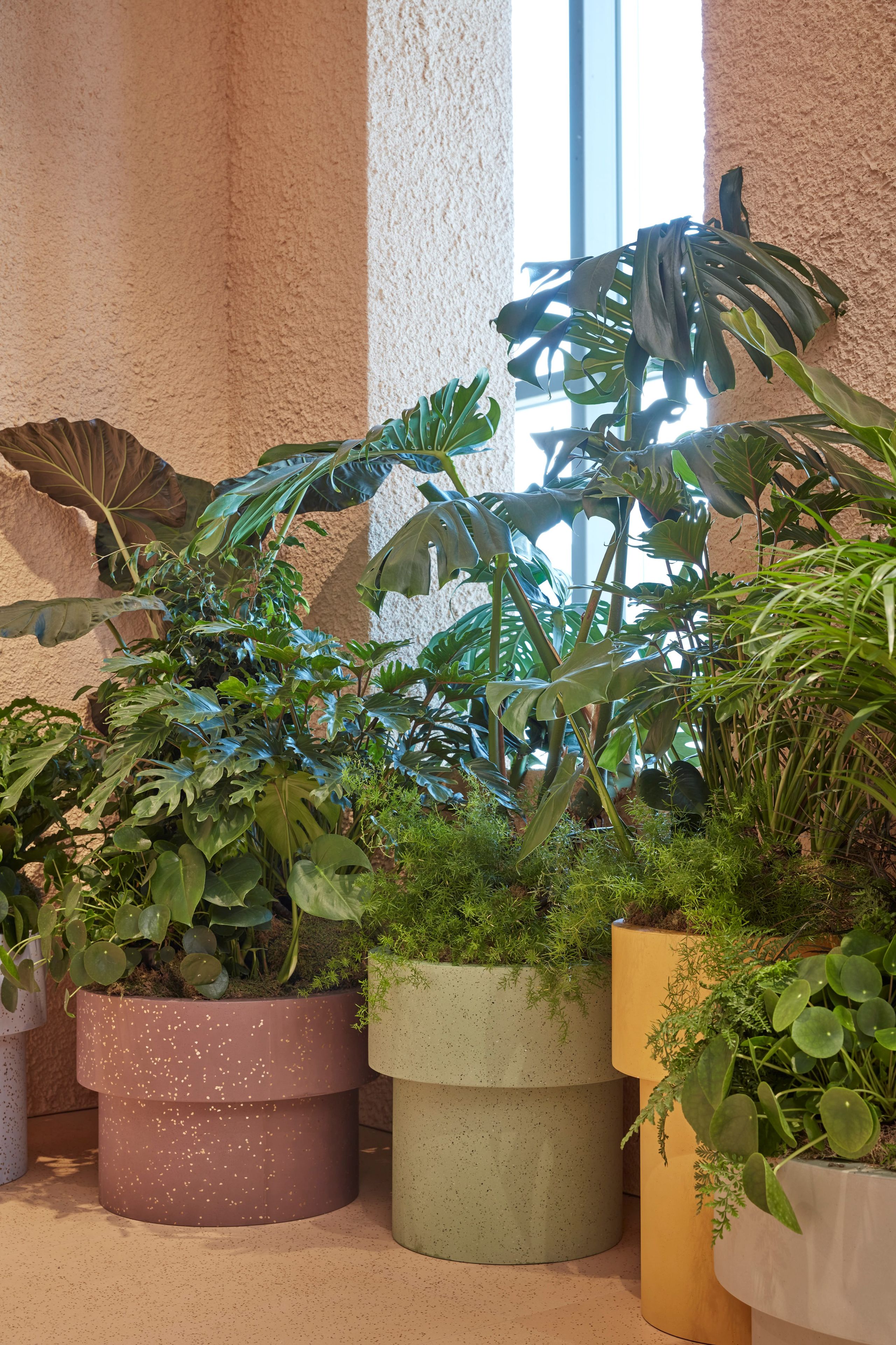 ERASMO | Round vase vase By Cimento design Patricia Urquiola