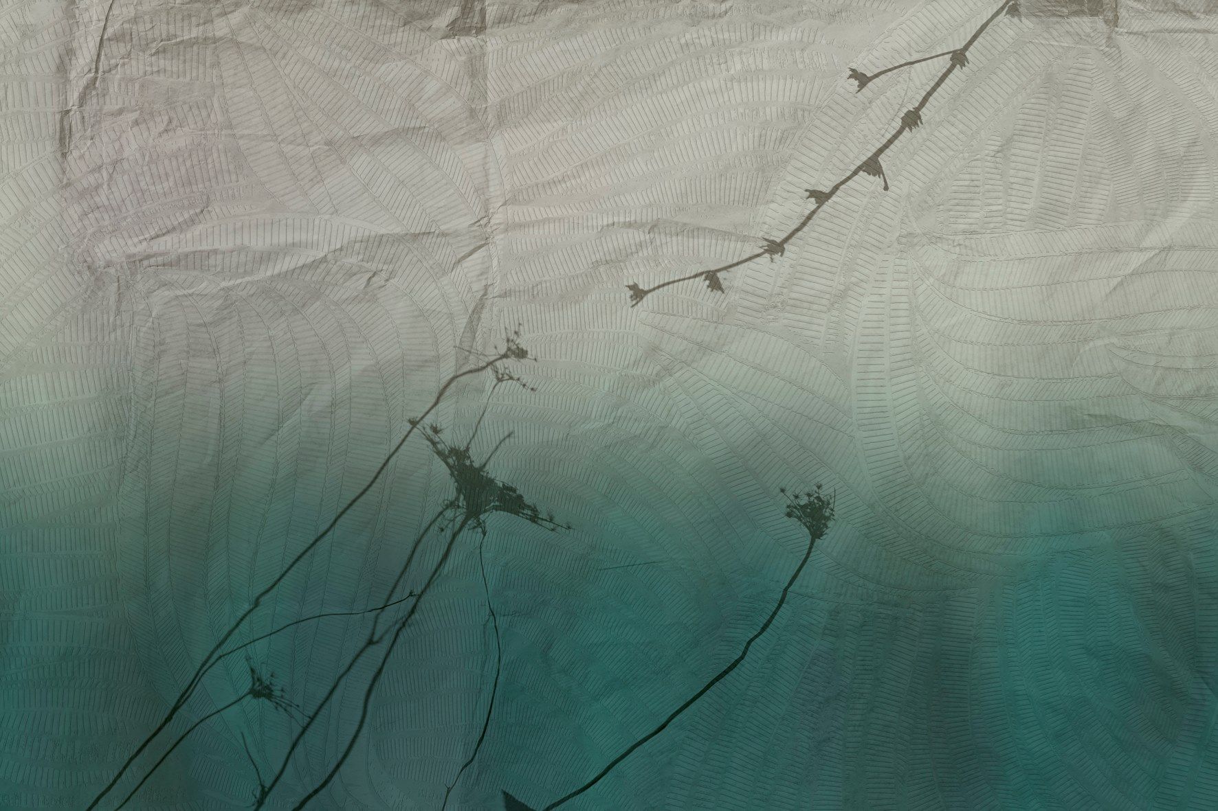 GlamFusion™ wallpaper EUPRAXIA Hydra Collection Collection By GLAMORA