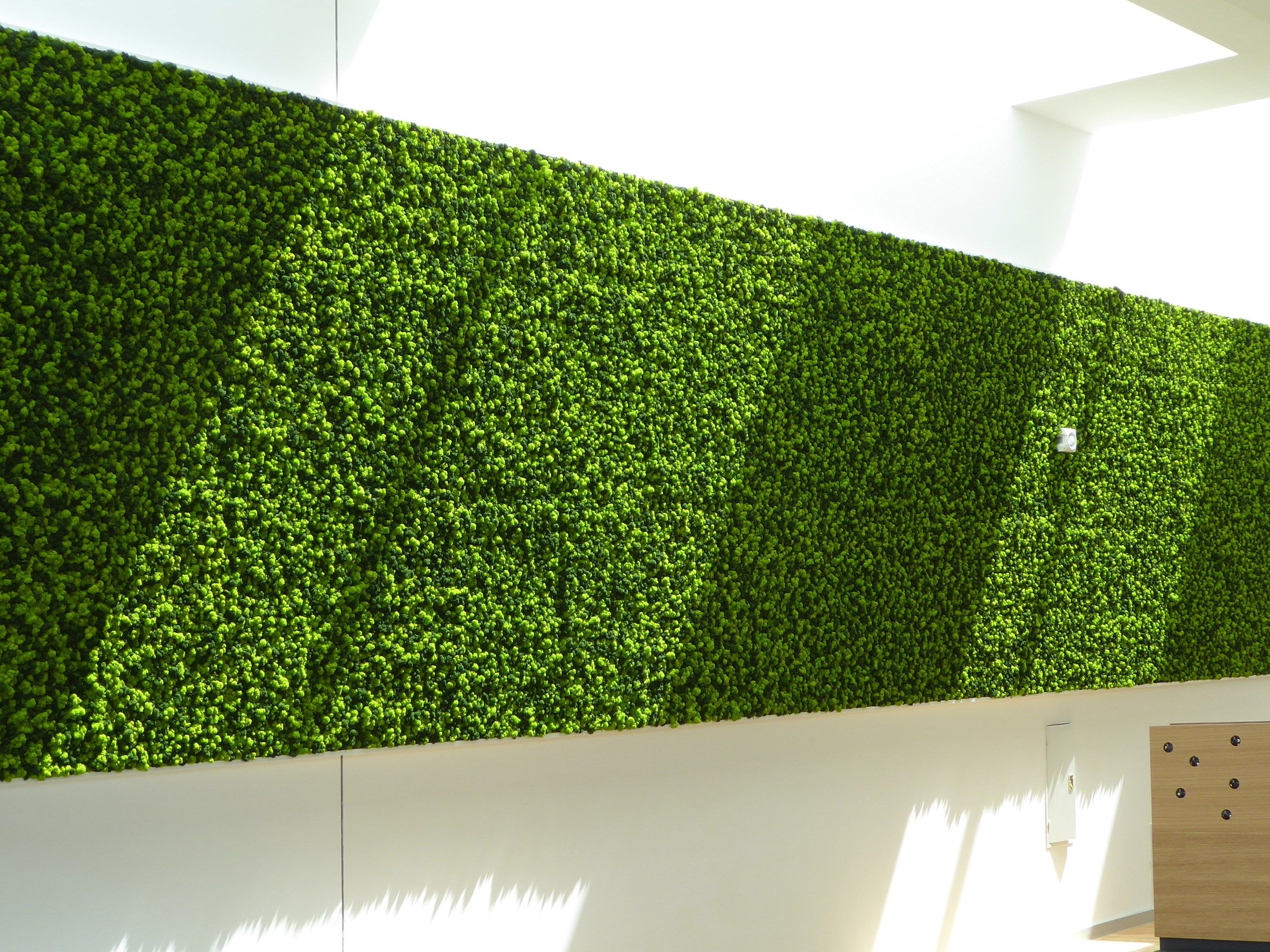 Moss indoor vertical garden EVERGREEN PREMIUM MOSS COLOR COMBINATION By ...