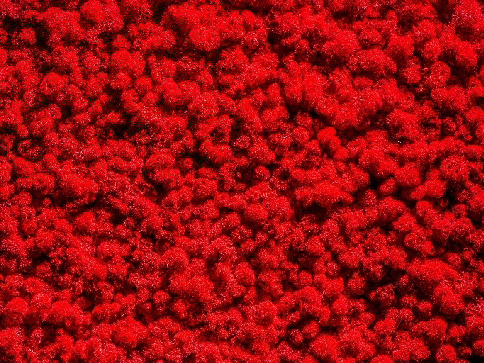 Moss indoor vertical garden EVERGREEN PREMIUM MOSS COLOR COMBINATION By ...