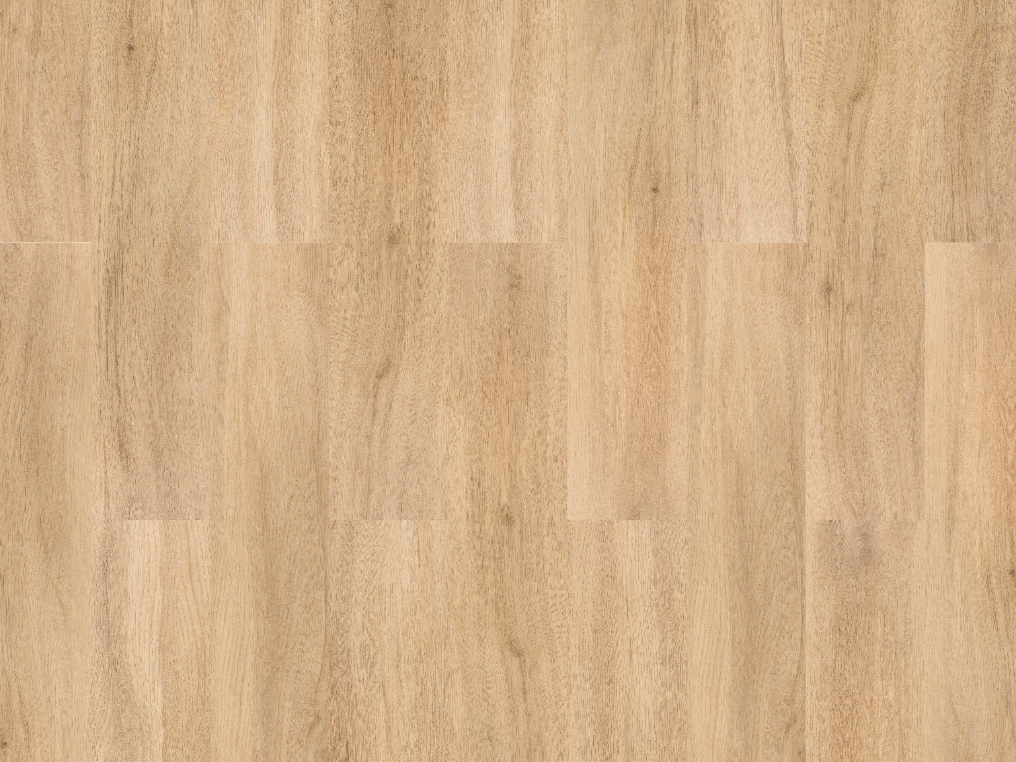 EVOLUTION ZERO By Virag