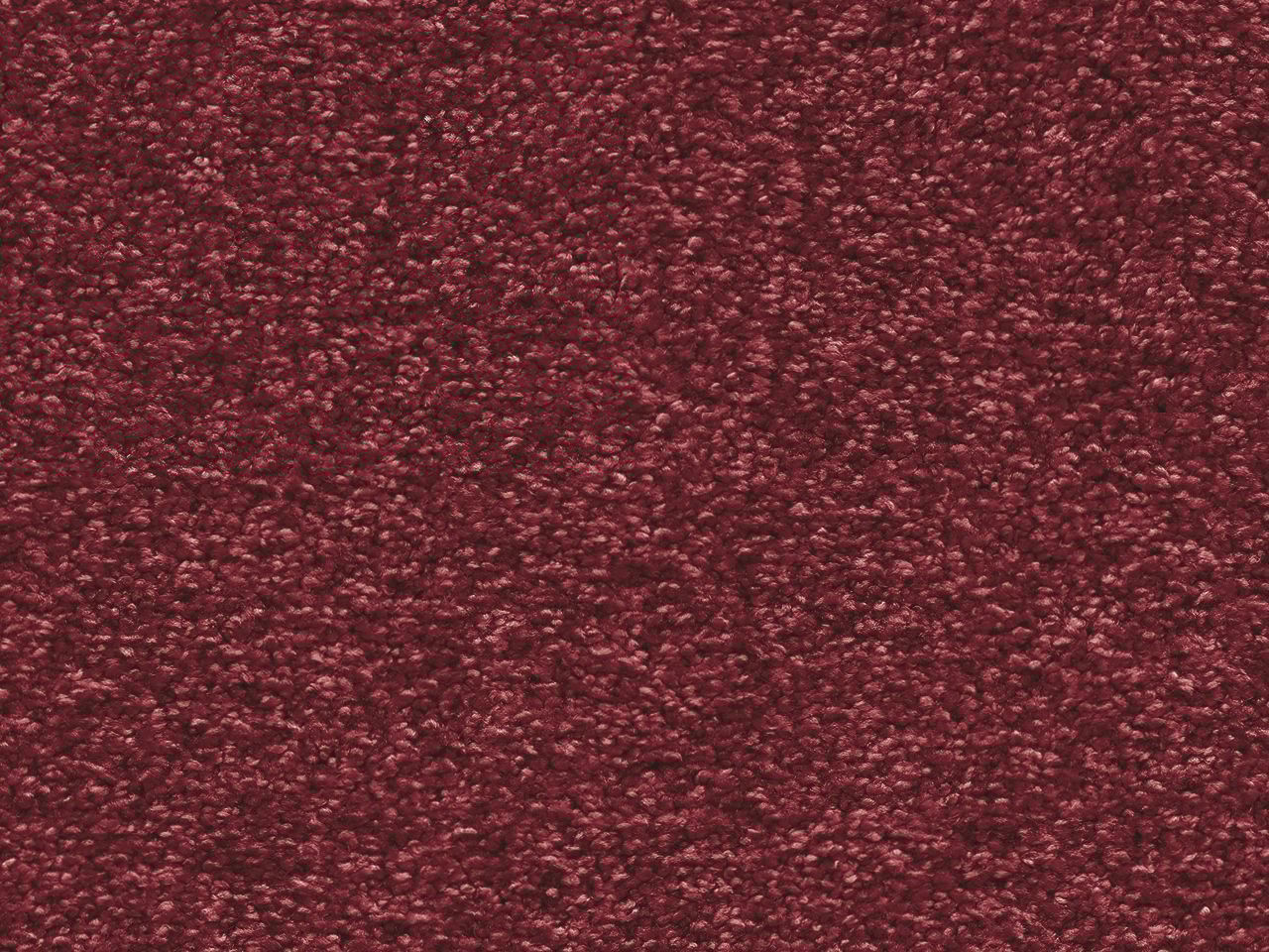 Solid-color polyamide carpeting EXCLUSIVE 1066 By Vorwerk Teppichwerke