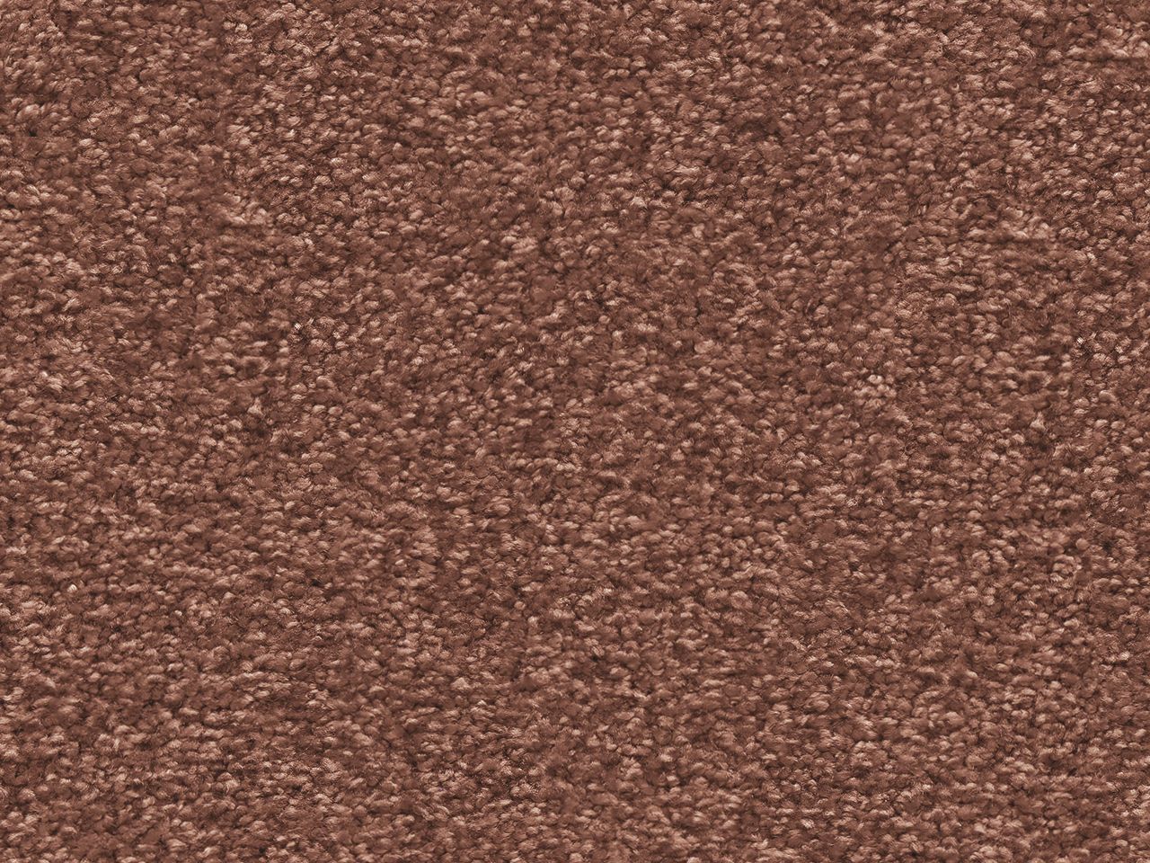 Solid-color polyamide carpeting EXCLUSIVE 1066 By Vorwerk Teppichwerke