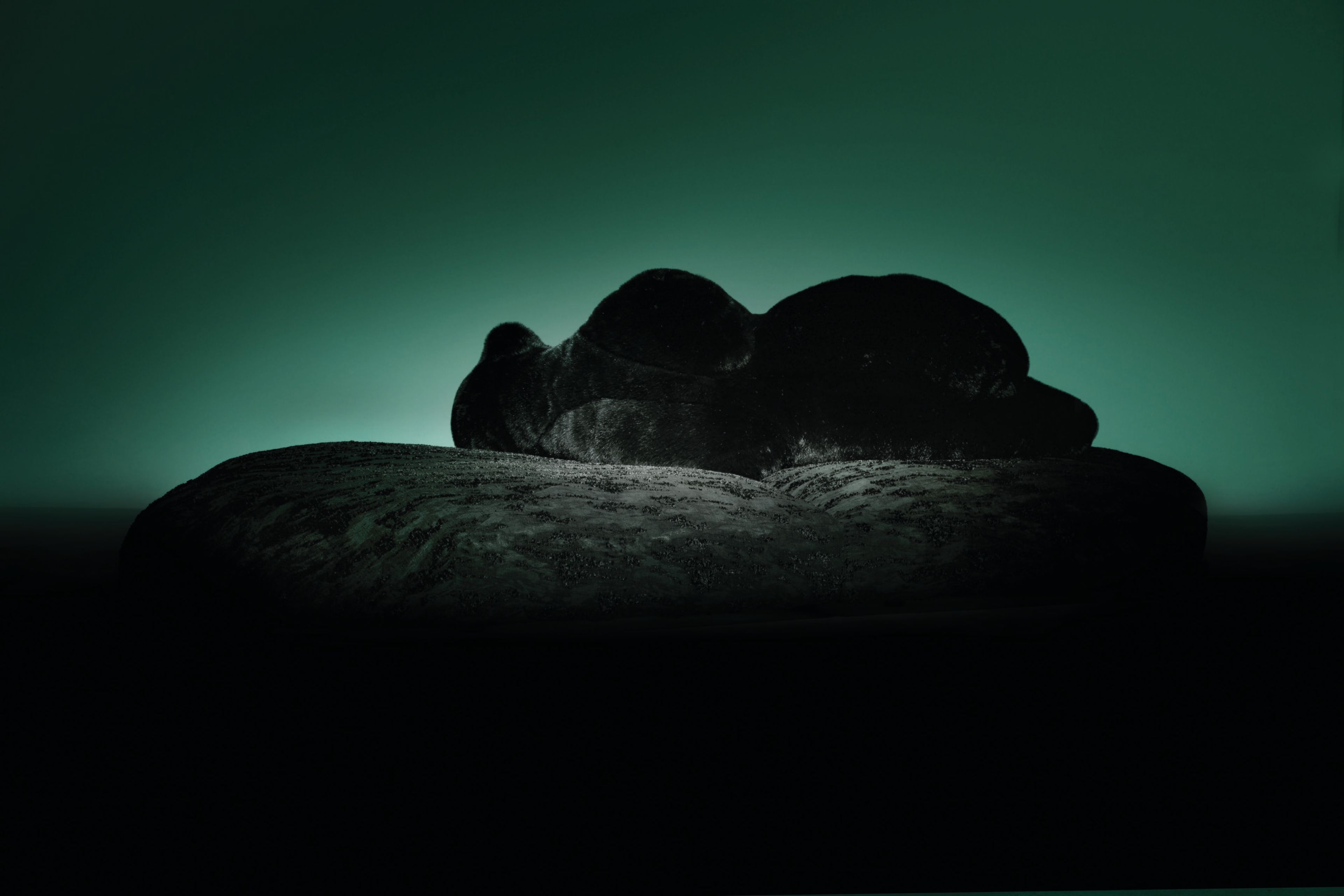 PACK 沙发 By Edra | design Francesco Binfaré