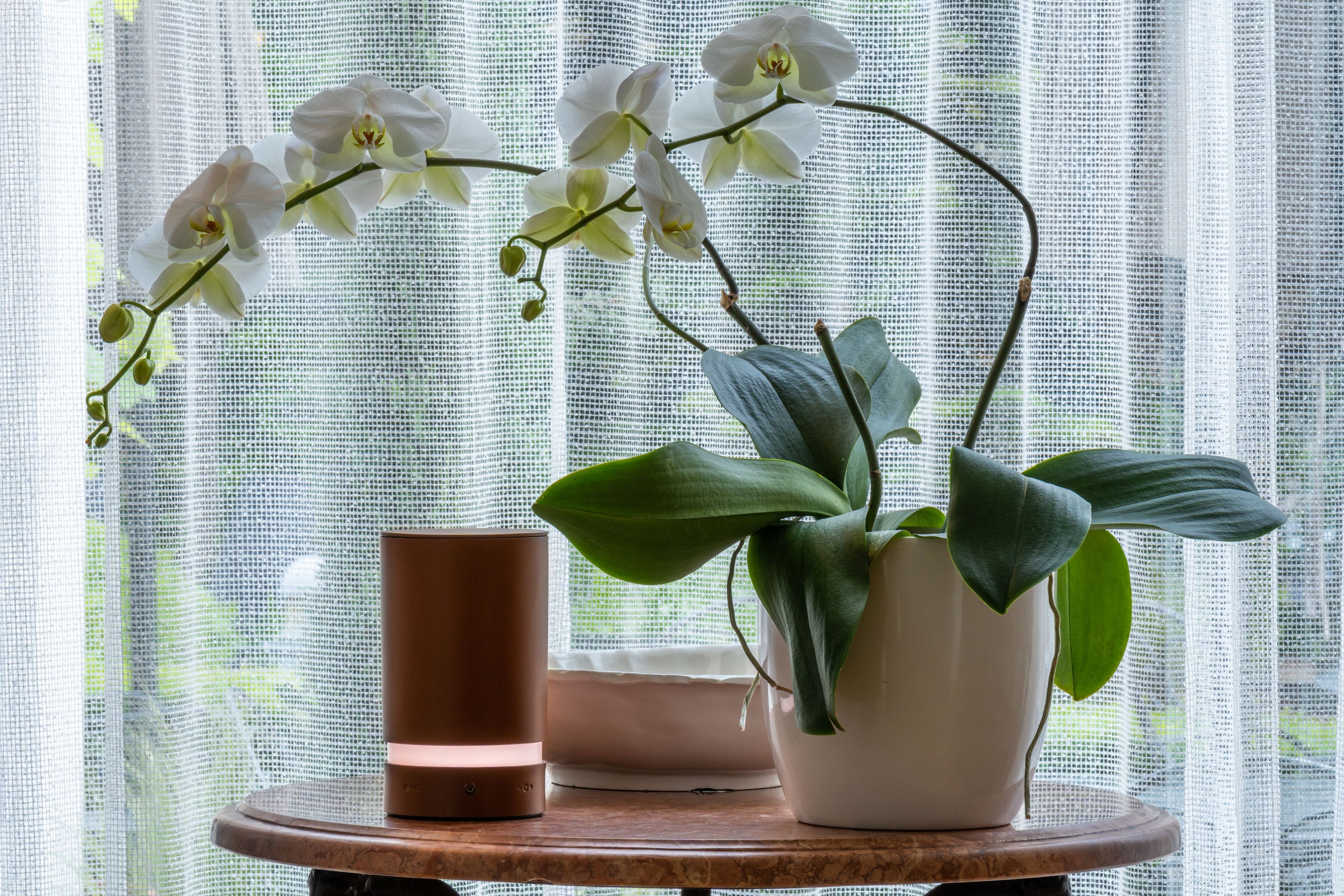 CHAPEAU Table lamp By Emera Design