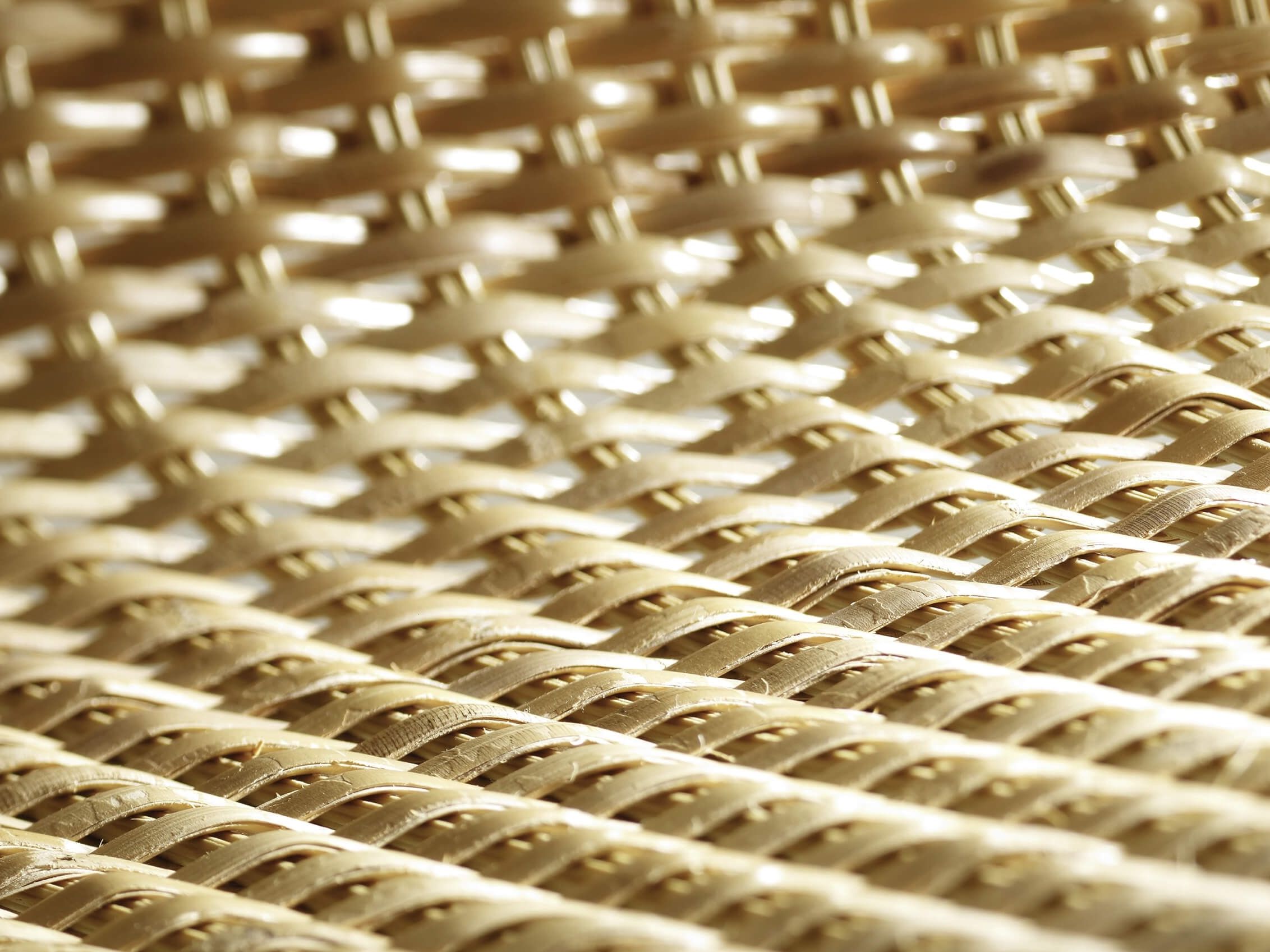 F42E Chaise longue By TECTA | design Mies Van der Rohe