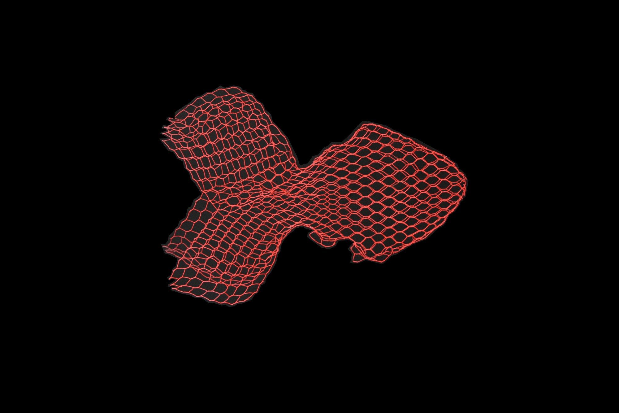 FISH Wire mesh hanging decoration By Magis | design Benedetta Mori Ubaldini