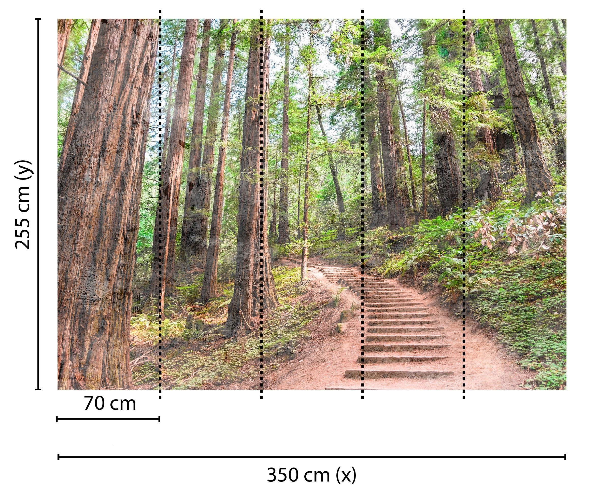 FOREST WALK Wallpaper By Architects Paper