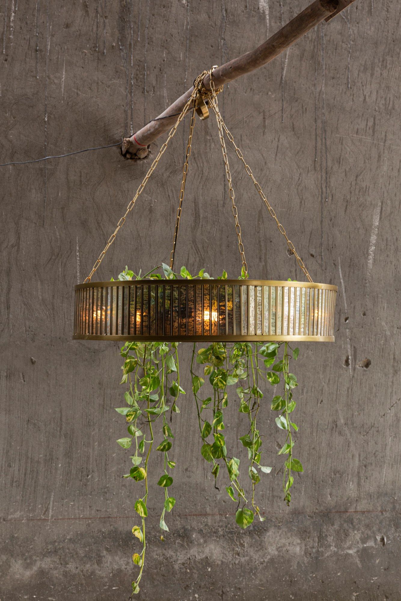 FOSSIL pendant lamp By Nama Home