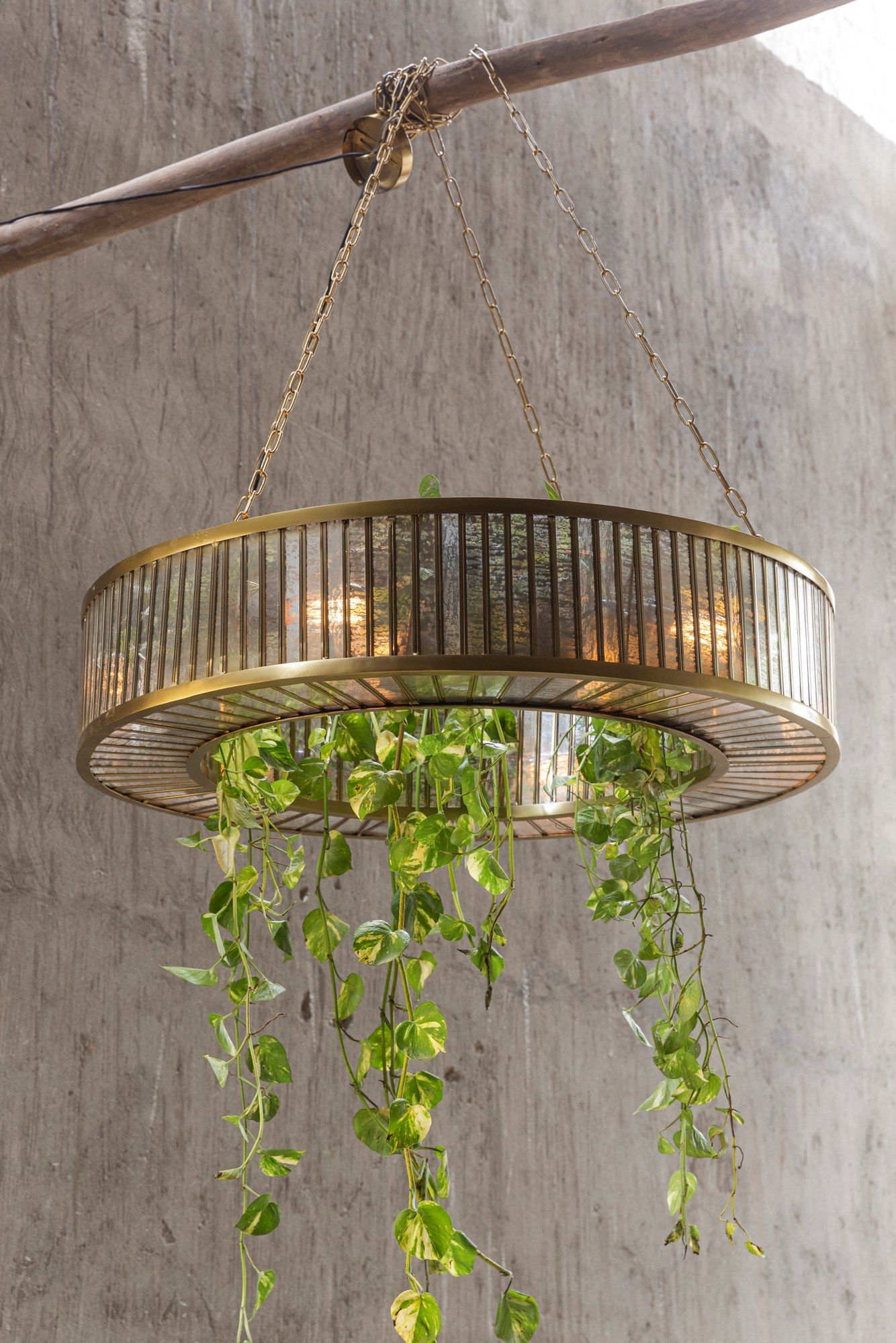 FOSSIL pendant lamp By Nama Home