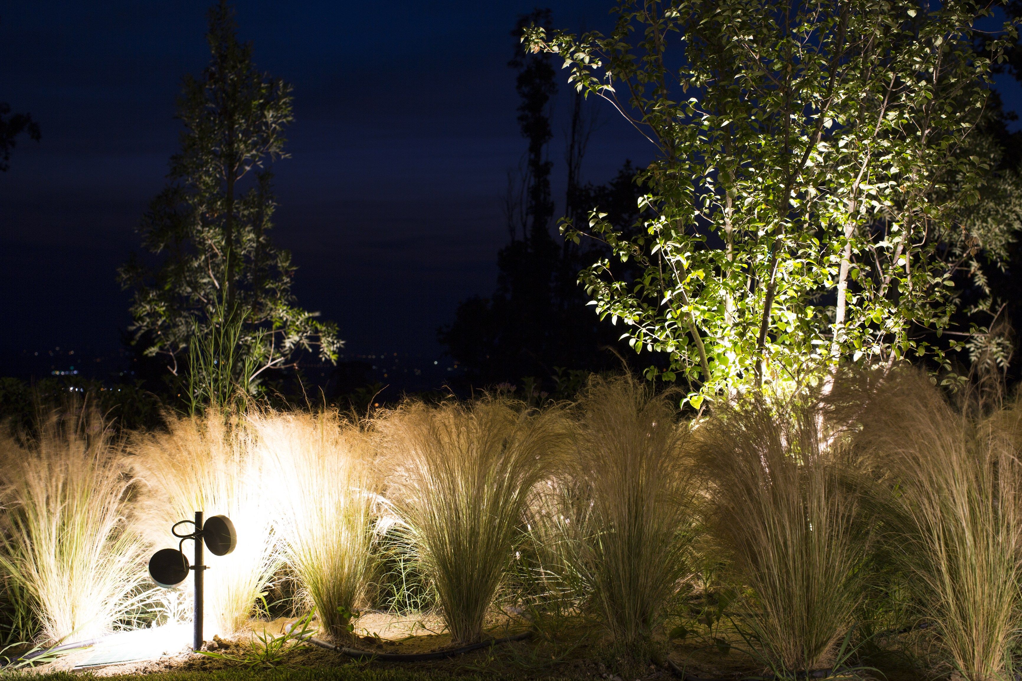 FROG | LED Floor lamp By Platek