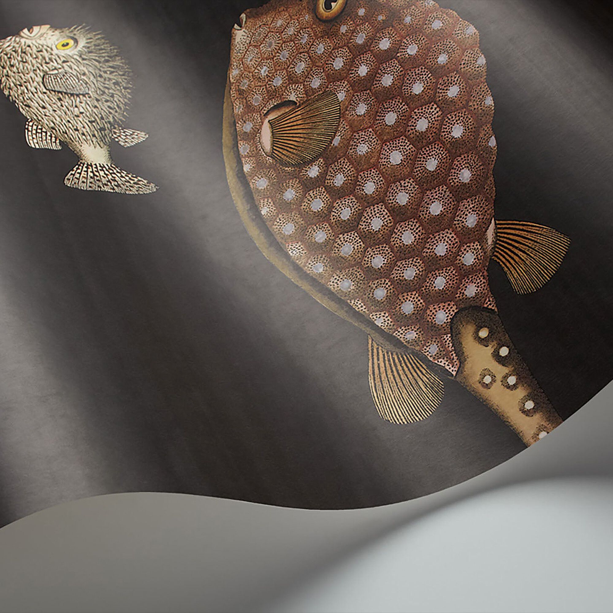 ACQUARIO Wallpaper By Fornasetti