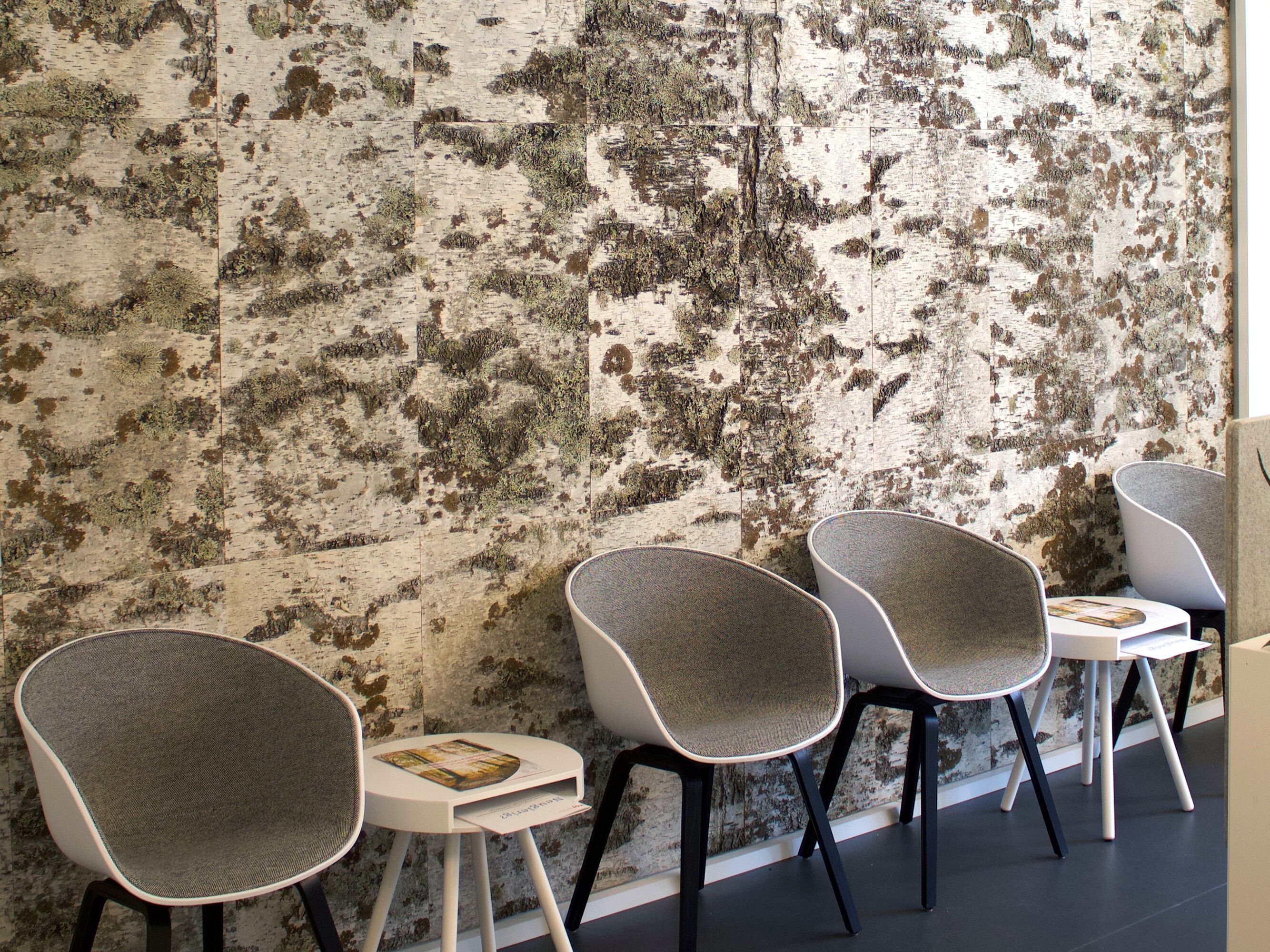 BIRCH BARK WALL PANELS Birch tree bark wall tiles By Freund GmbH