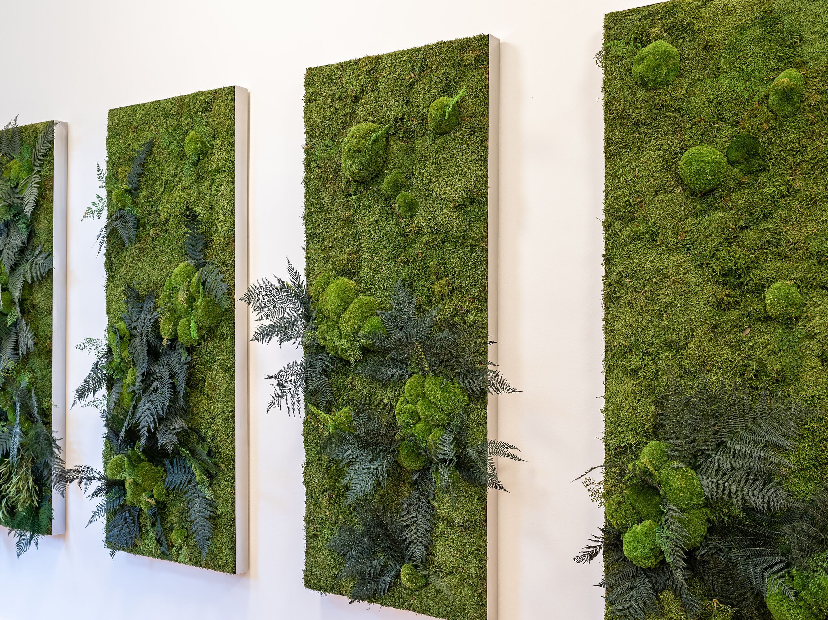 MOSS AND PLANT WALL JUNGLE & MORE Moss wall By Freund GmbH