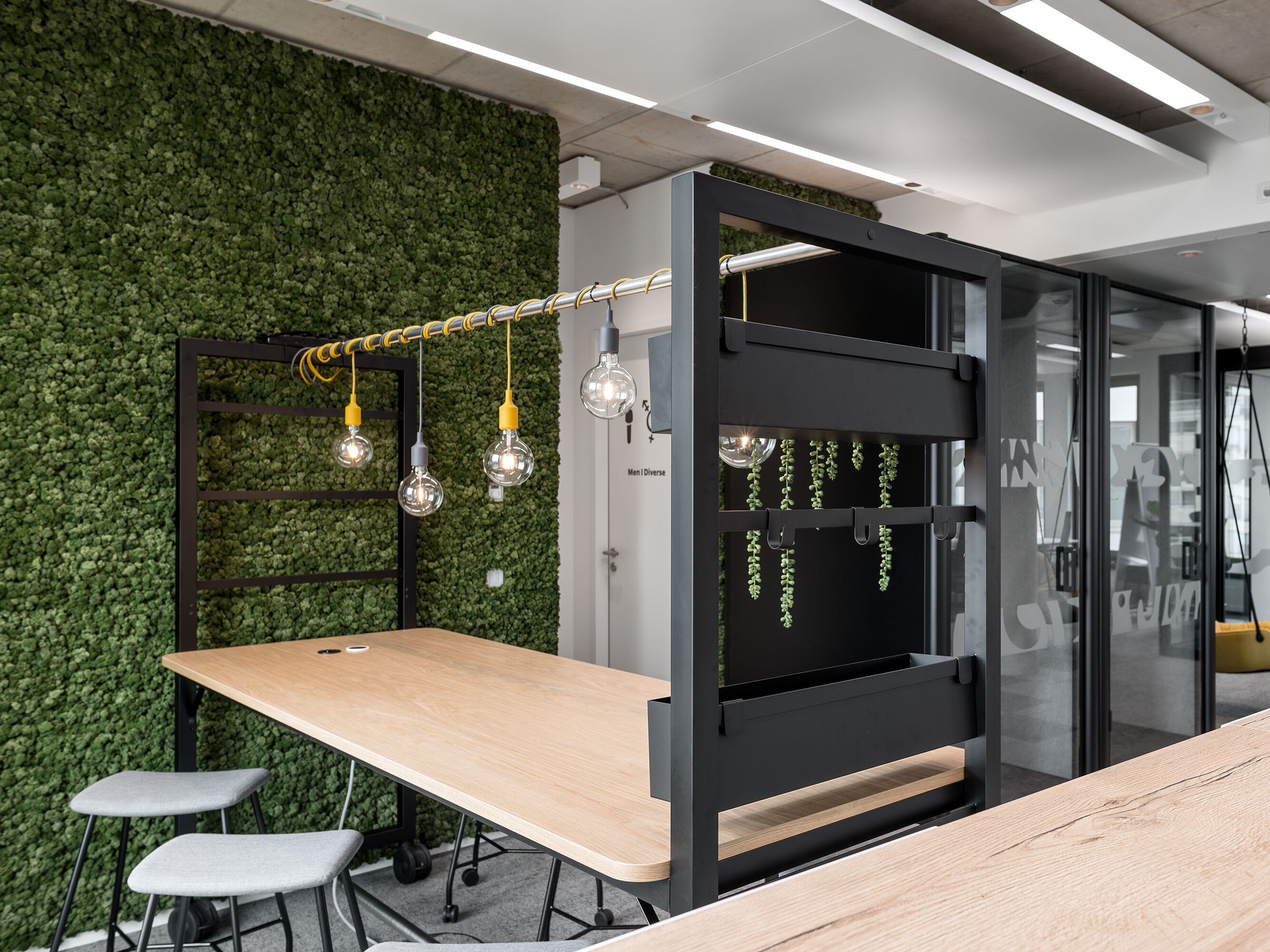 MOSS WALL EVERGREEN PREMIUM Moss Wall By Freund GmbH