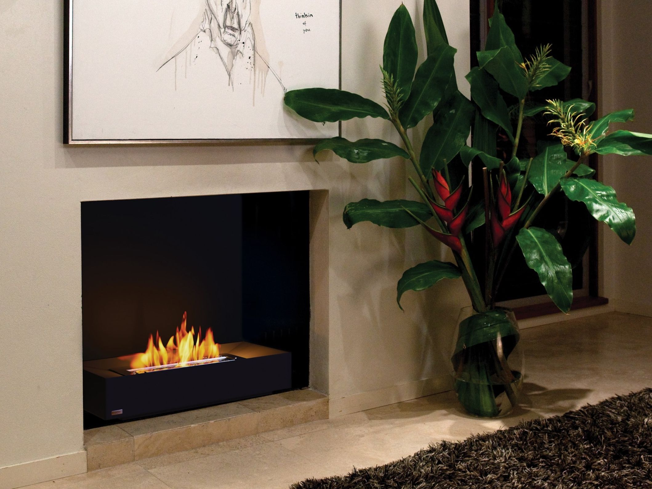 GRATE 30 Fireplace insert By EcoSmart Fire