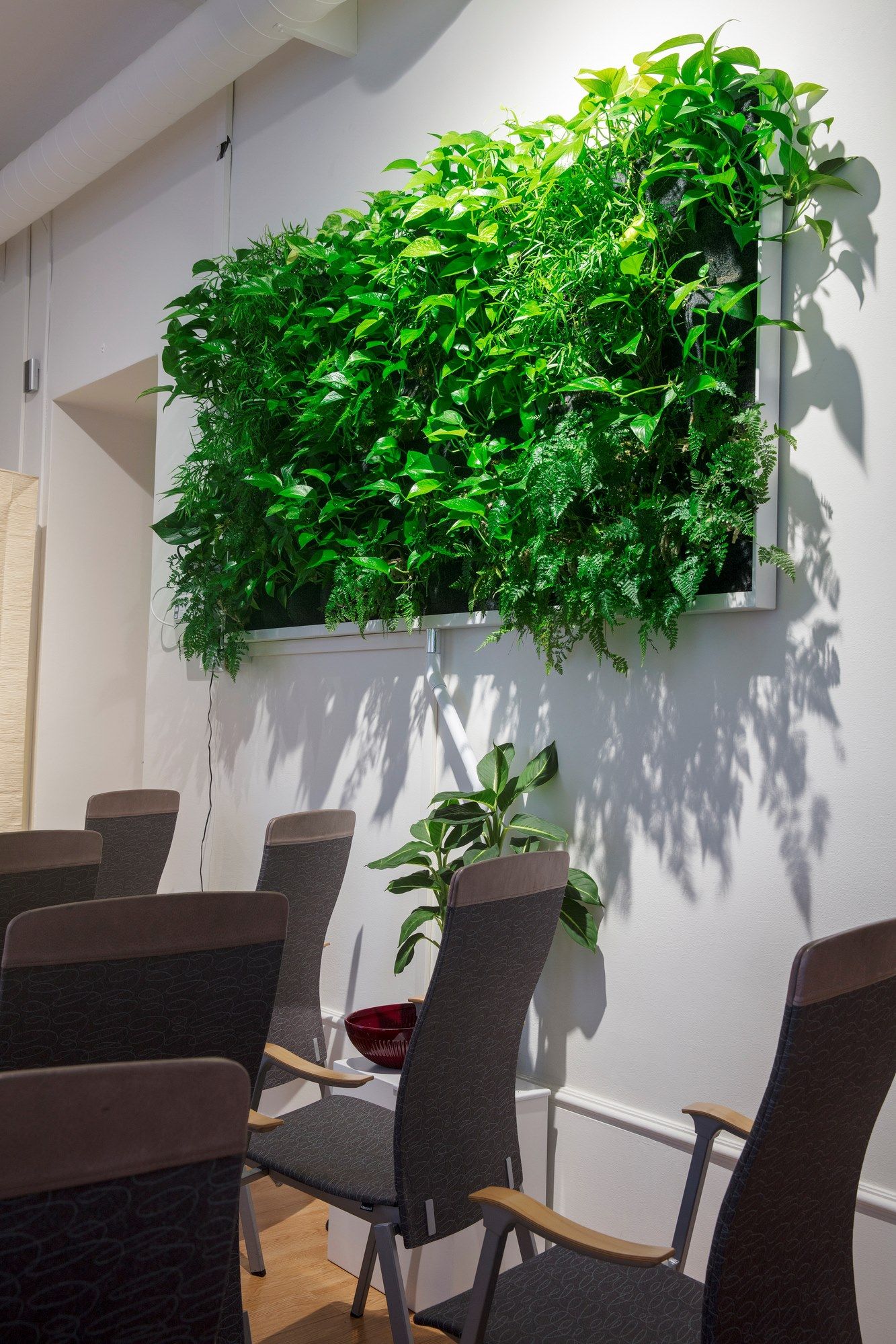 GREEN SCREEN vegetal frame By Greenworks