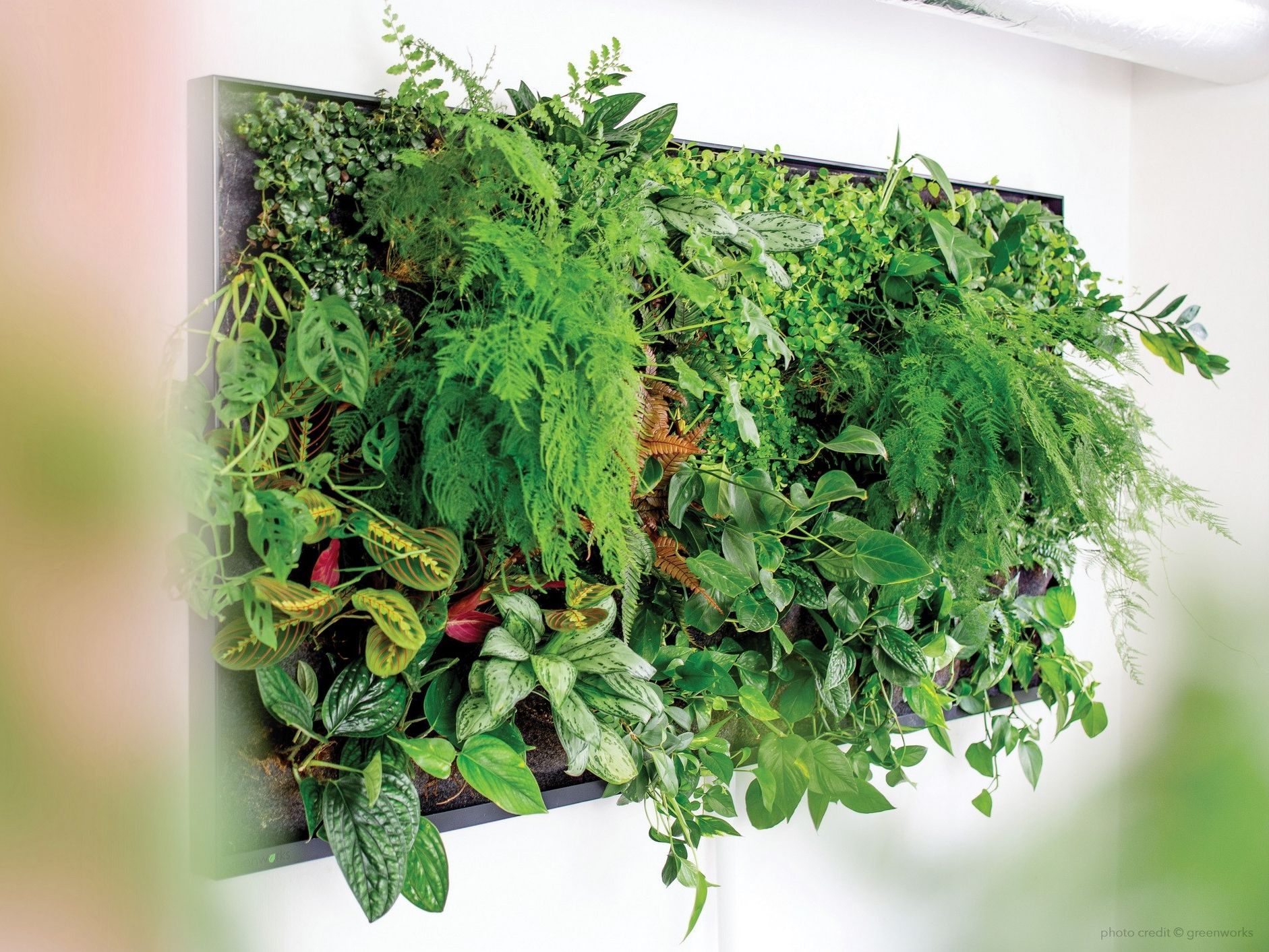 GREEN SCREEN vegetal frame By Greenworks