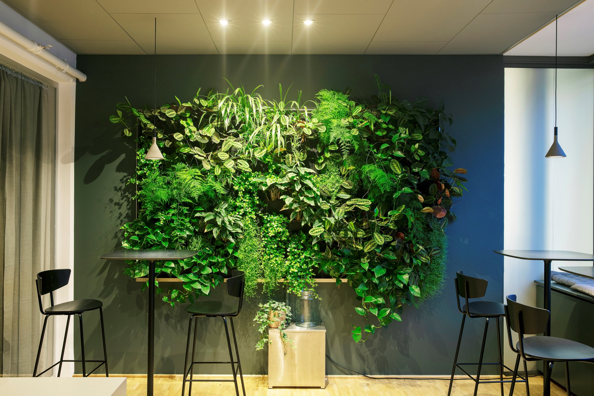 GREEN SCREEN vegetal frame By Greenworks