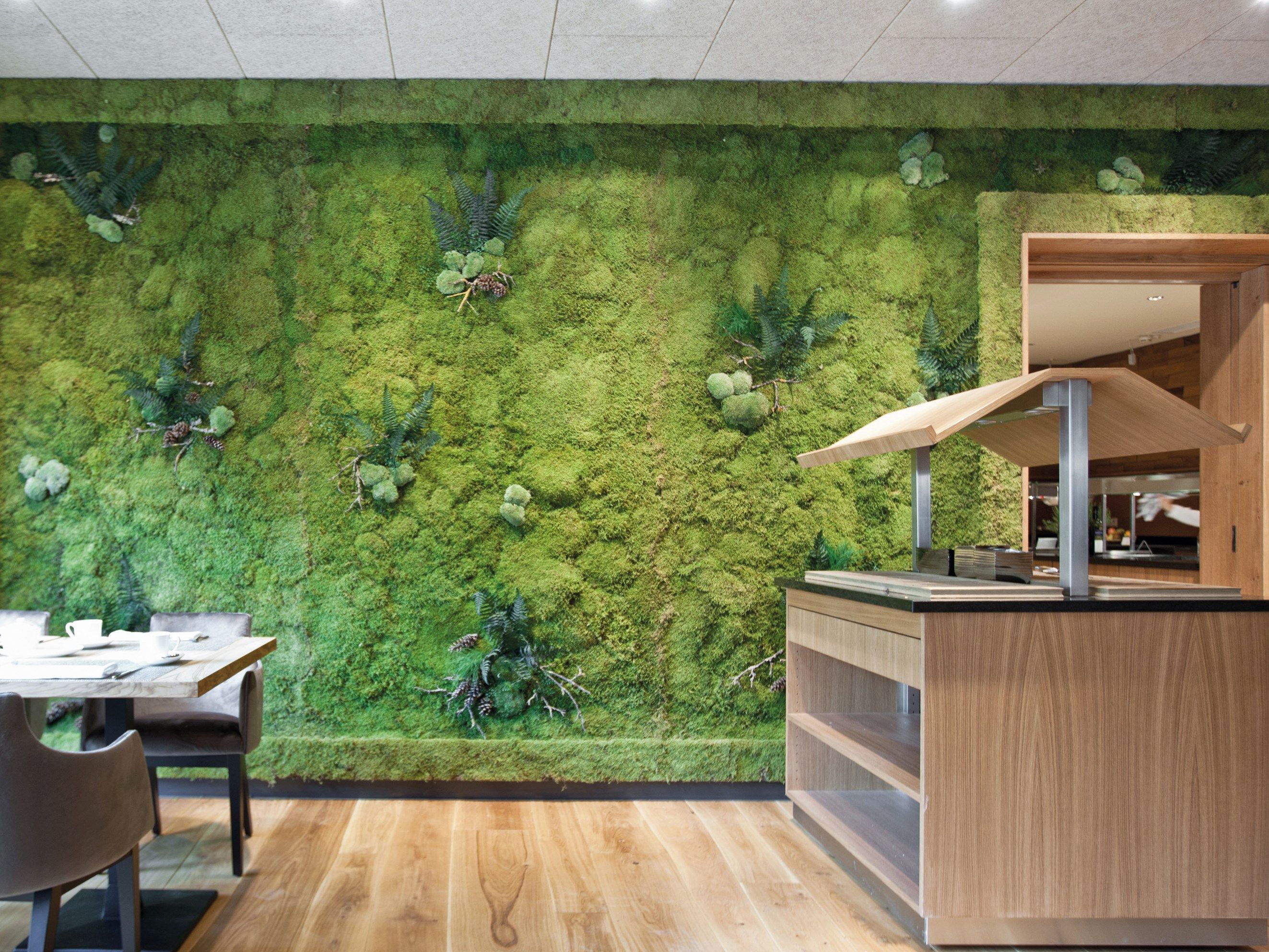 Grüne Wand aus Moos GREENWOOD EXTRA By Freund GmbH