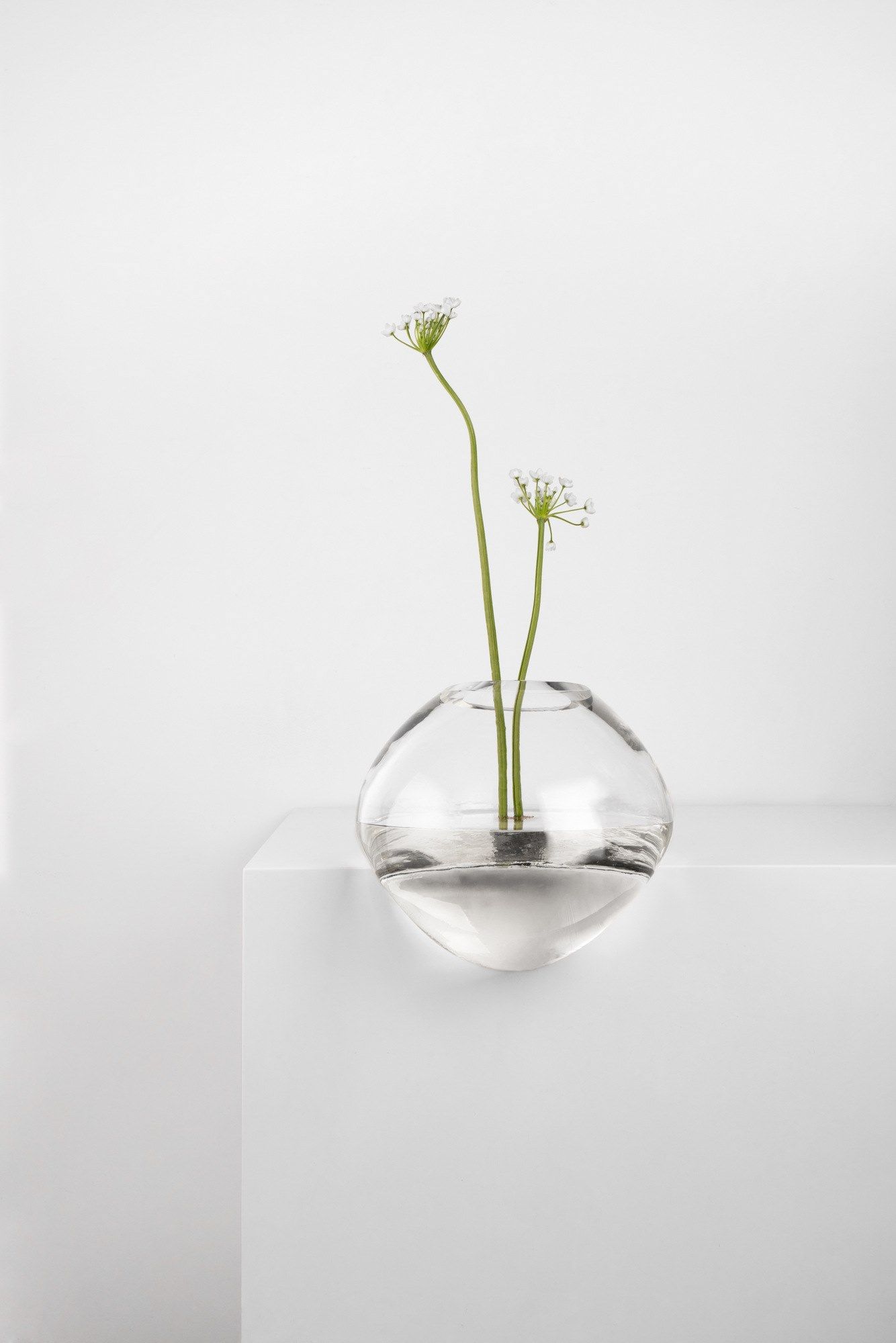 GUTTA CS1 Vase By NOOM | design Kateryna Sokolova