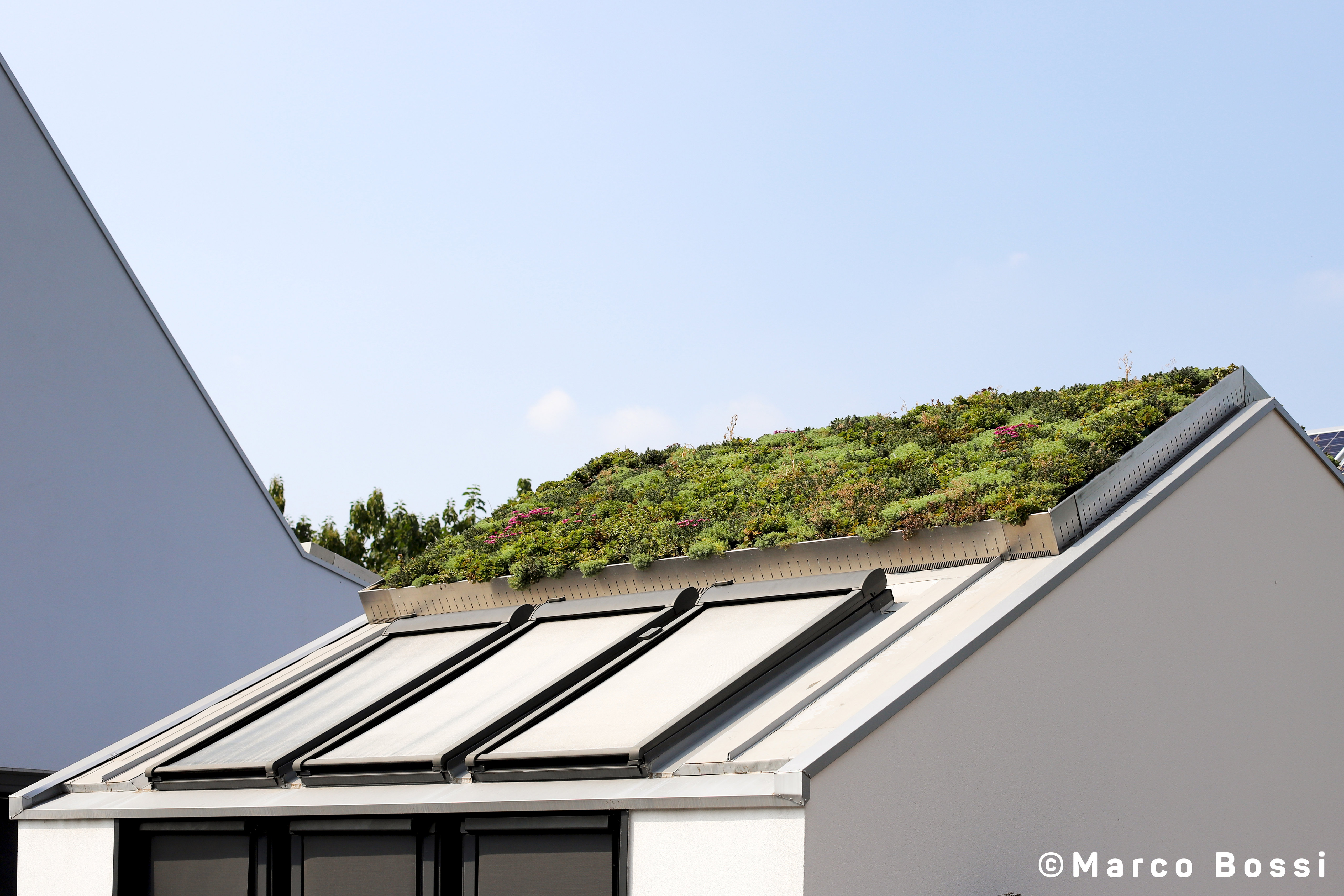 GREEN ROOF Roof garden system By ISOPAN