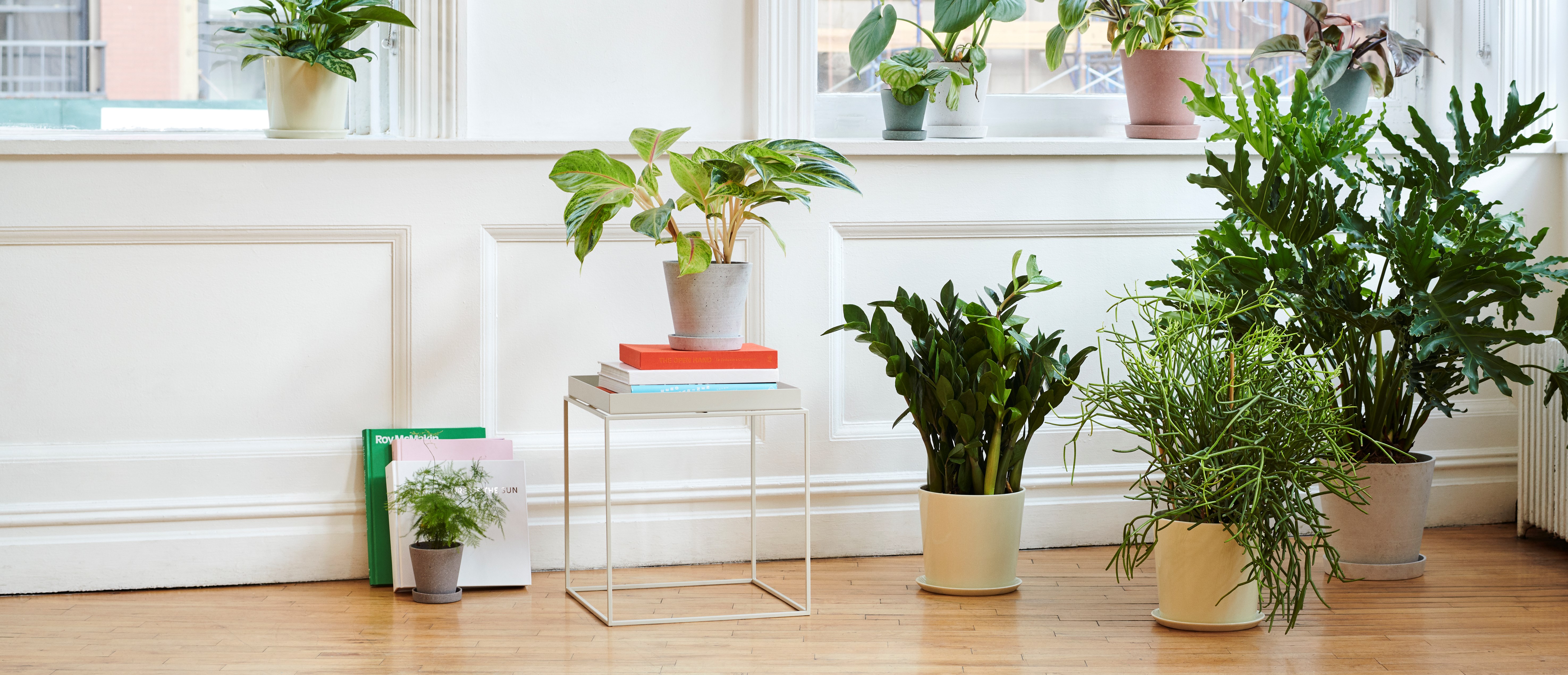 HAY - TRAY TABLE S WHITE Square steel coffee table with tray By In Stock