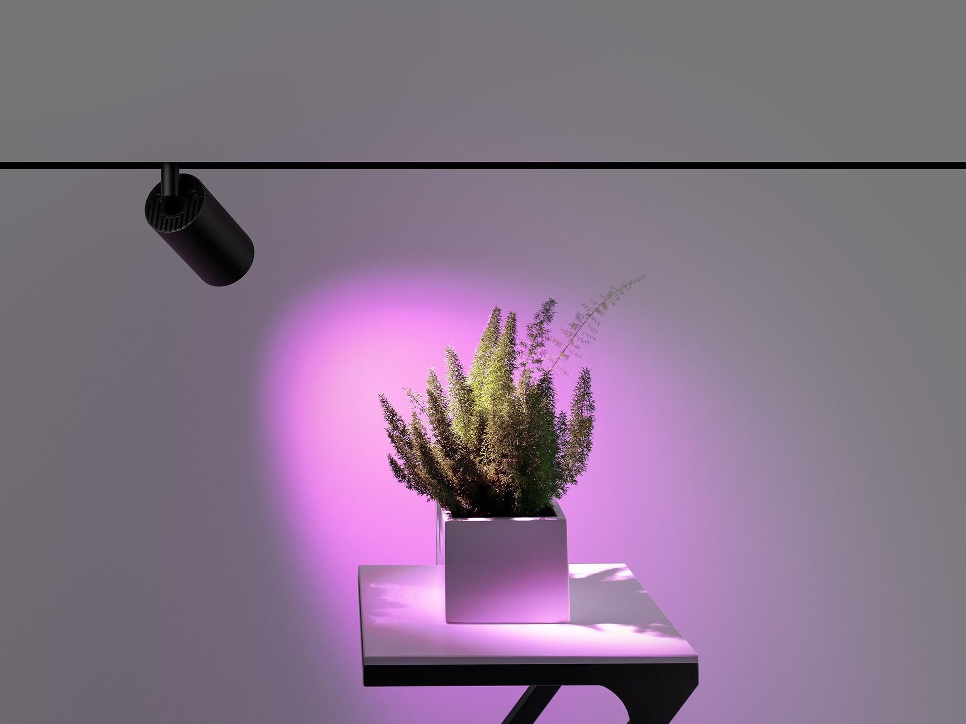 INF LOCUS FITO track-Light By Centrsvet