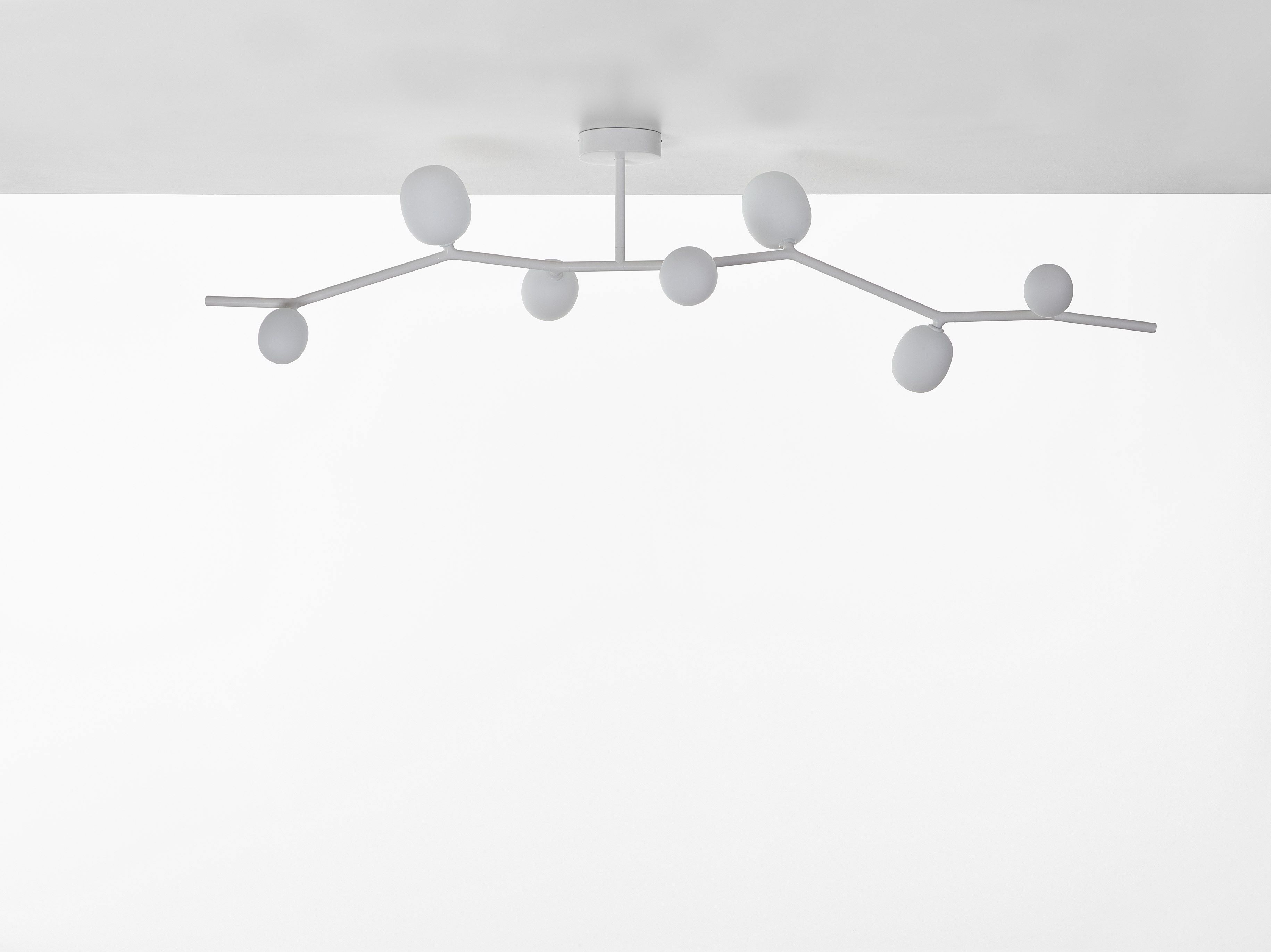 IVY CEILING By BROKIS design Lucie Koldova