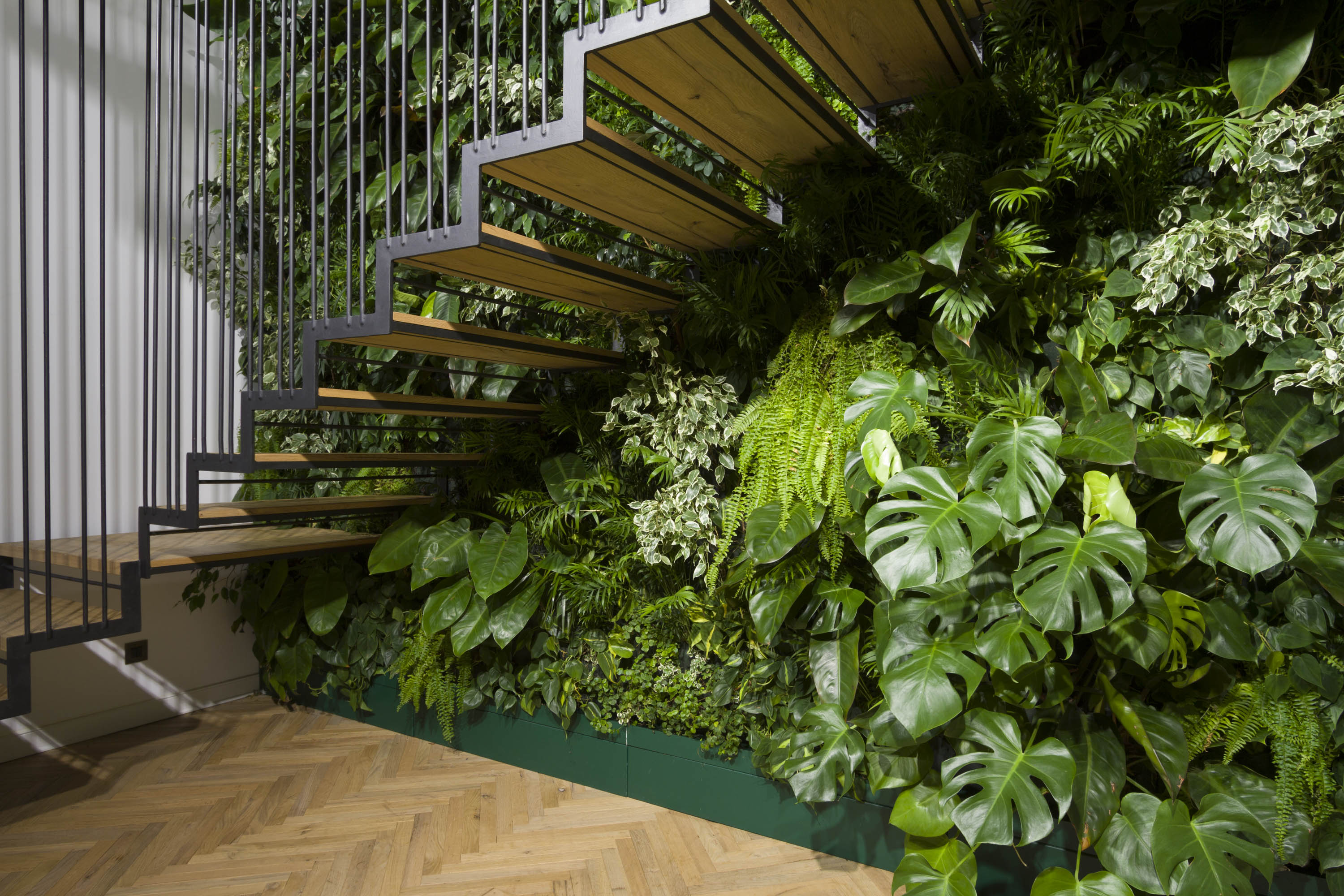 Indoor vertical garden By SUNDAR ITALIA