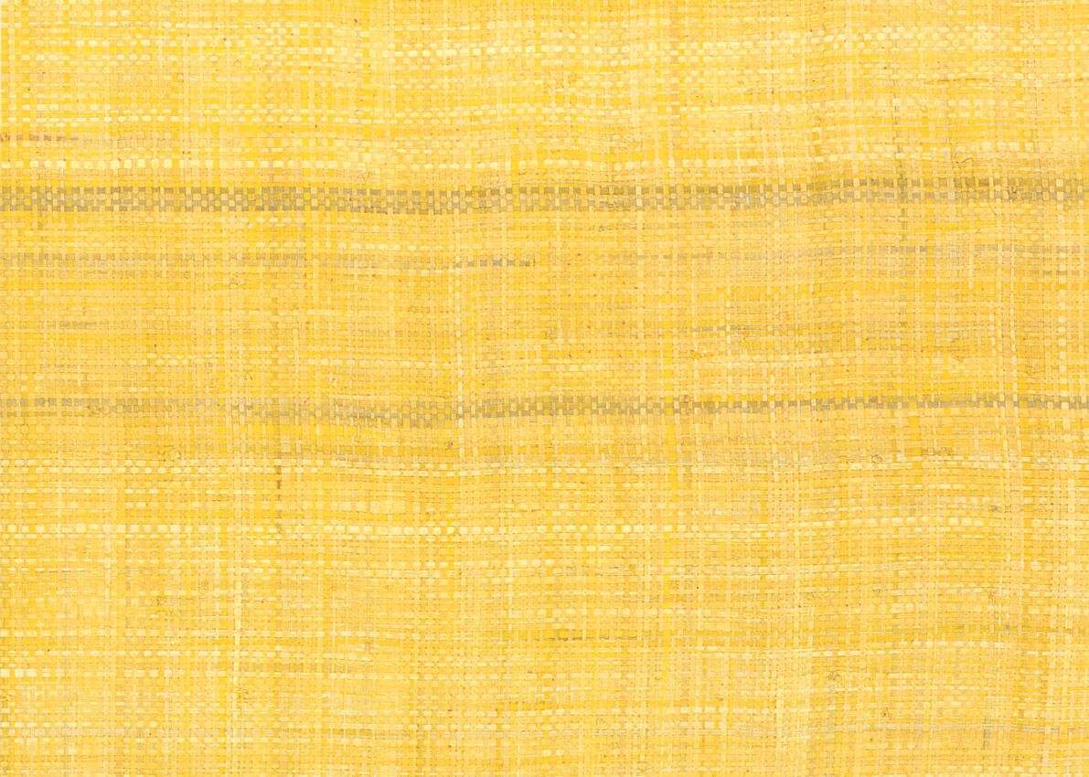 RAFIA Wallpaper By Jannelli&Volpi