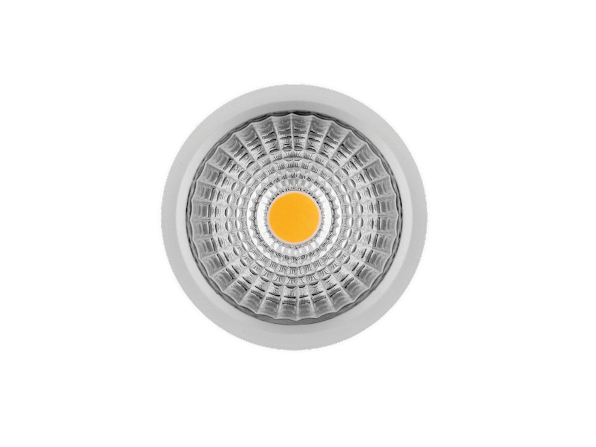 LARK Spot LED By Arkoslight