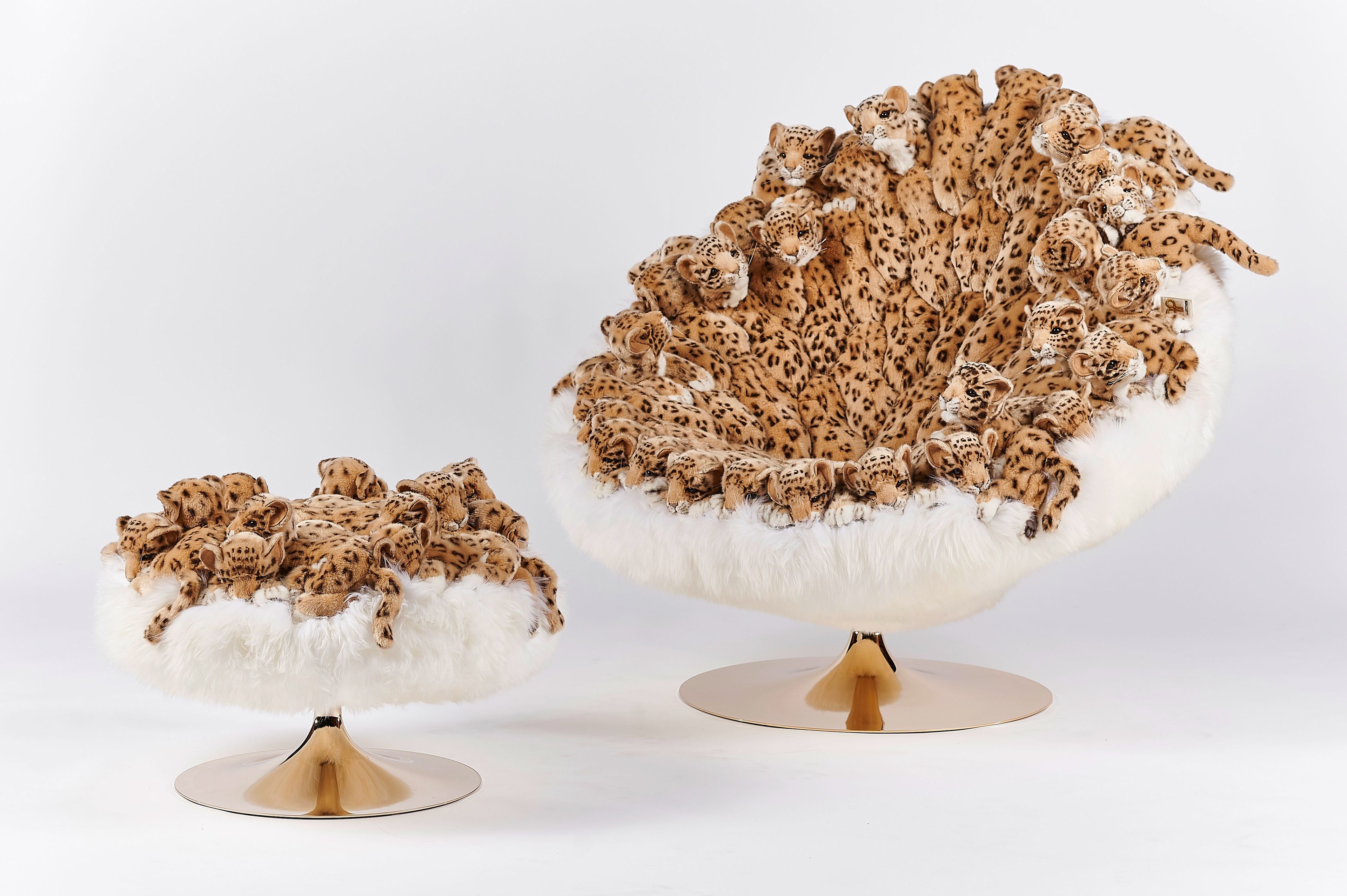 LEO | Armchair By APCOLLECTION