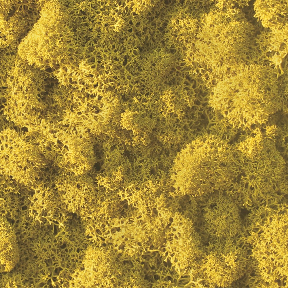 Lichen indoor vertical garden LICHEN By Adriani e Rossi edizioni