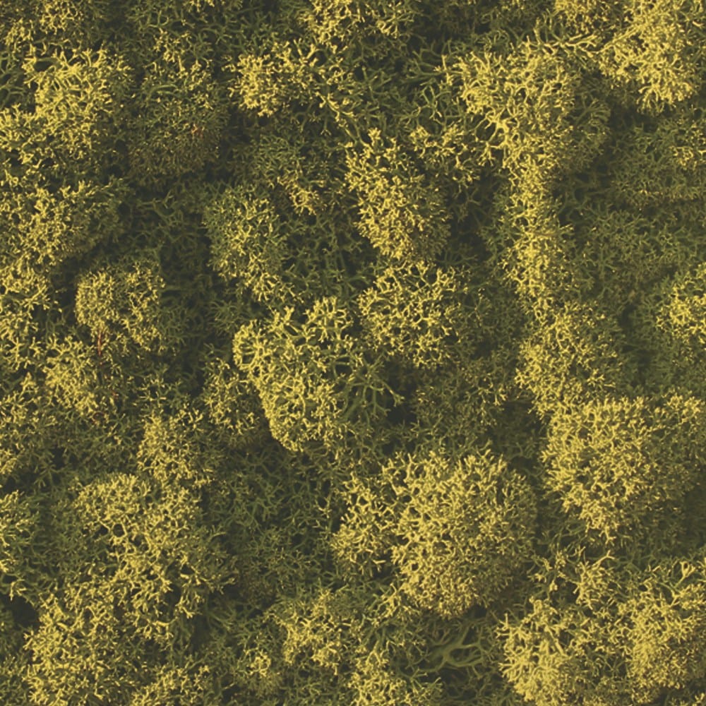 Lichen indoor vertical garden LICHEN By Adriani e Rossi edizioni