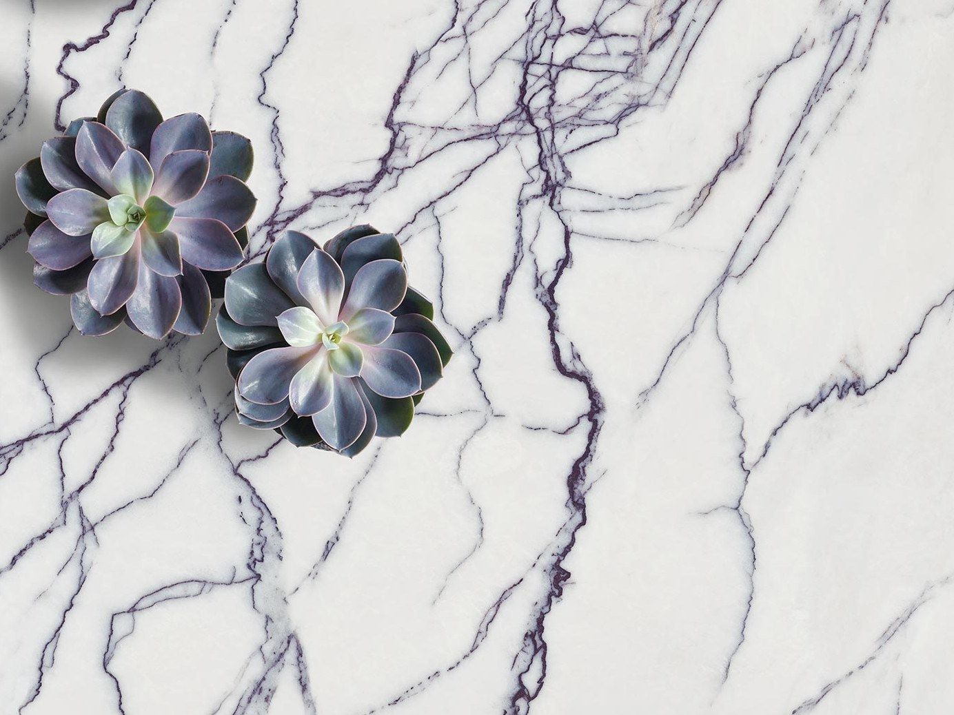 Ceramic wall/floor tiles with marble effect LILAC By Arklam