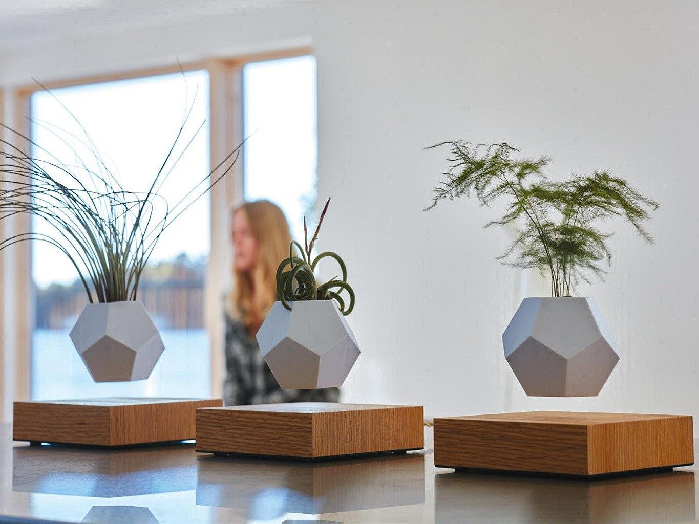 LYFE PLANTER By FLYTE
