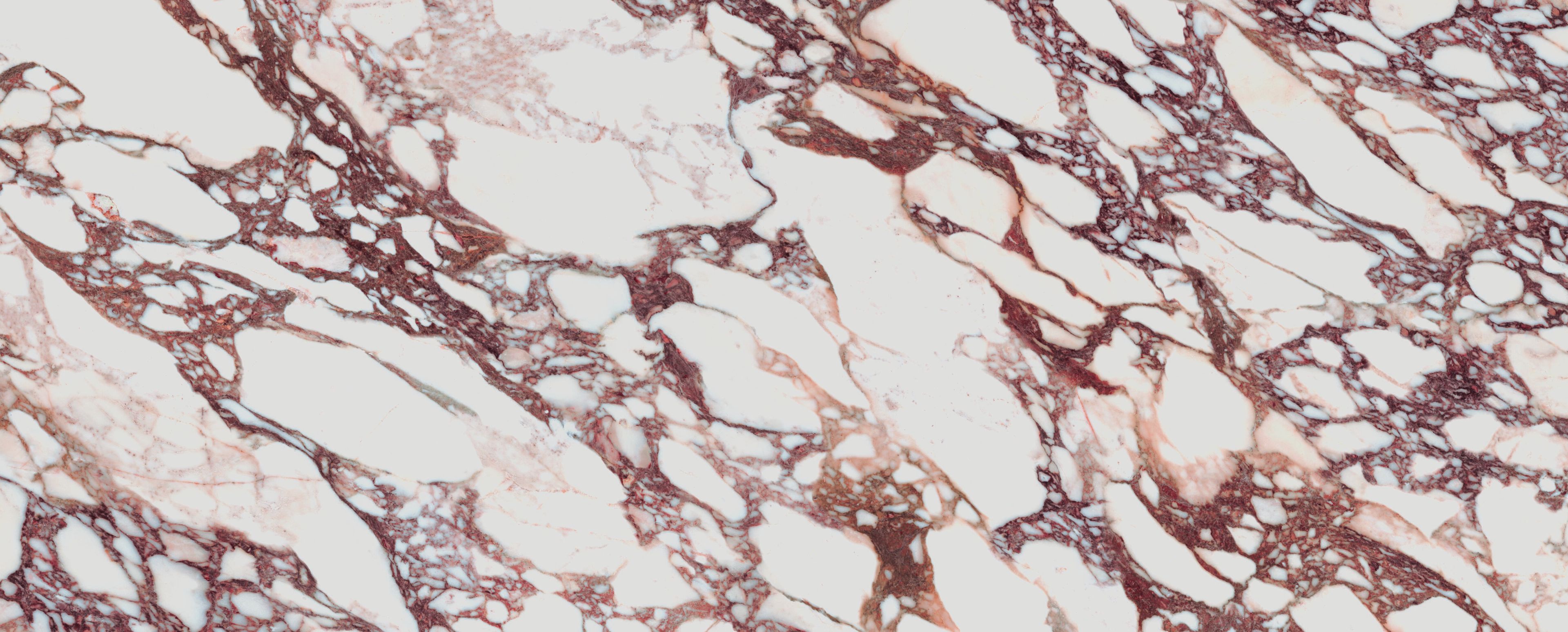 CALACATTA VIOLA Revêtement mural en Laminam® effet marbre By Laminam