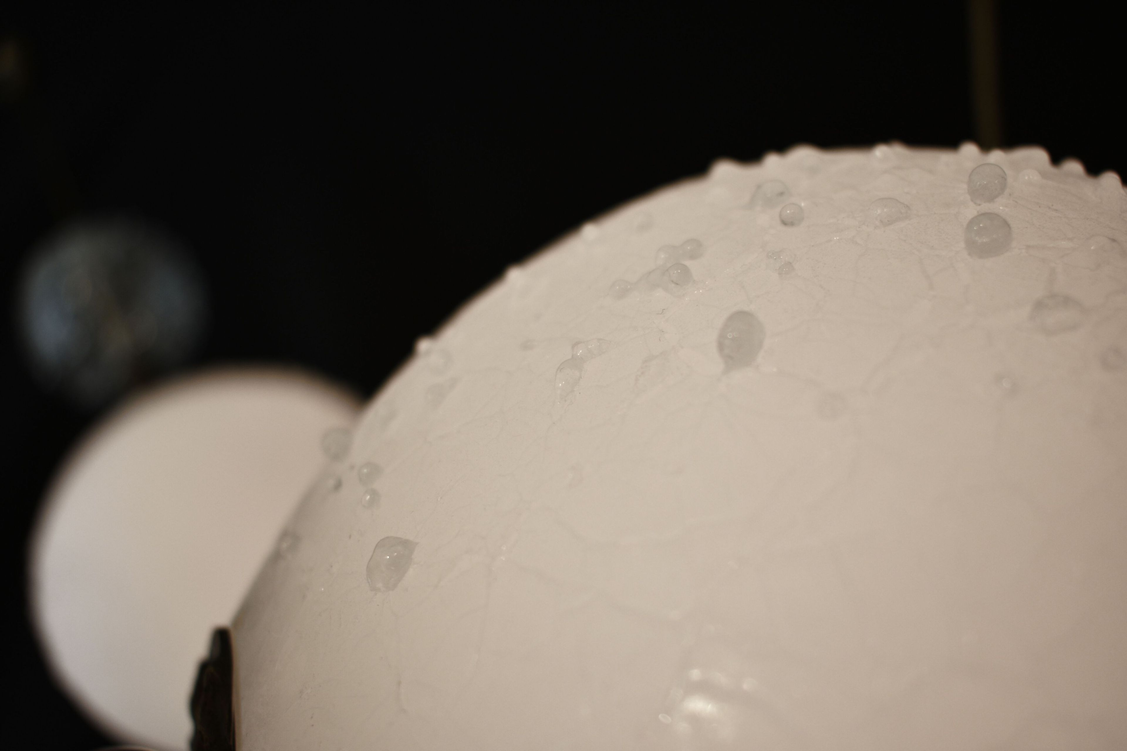 COCO-DE-MER LED pendant lamp By Larose Guyon