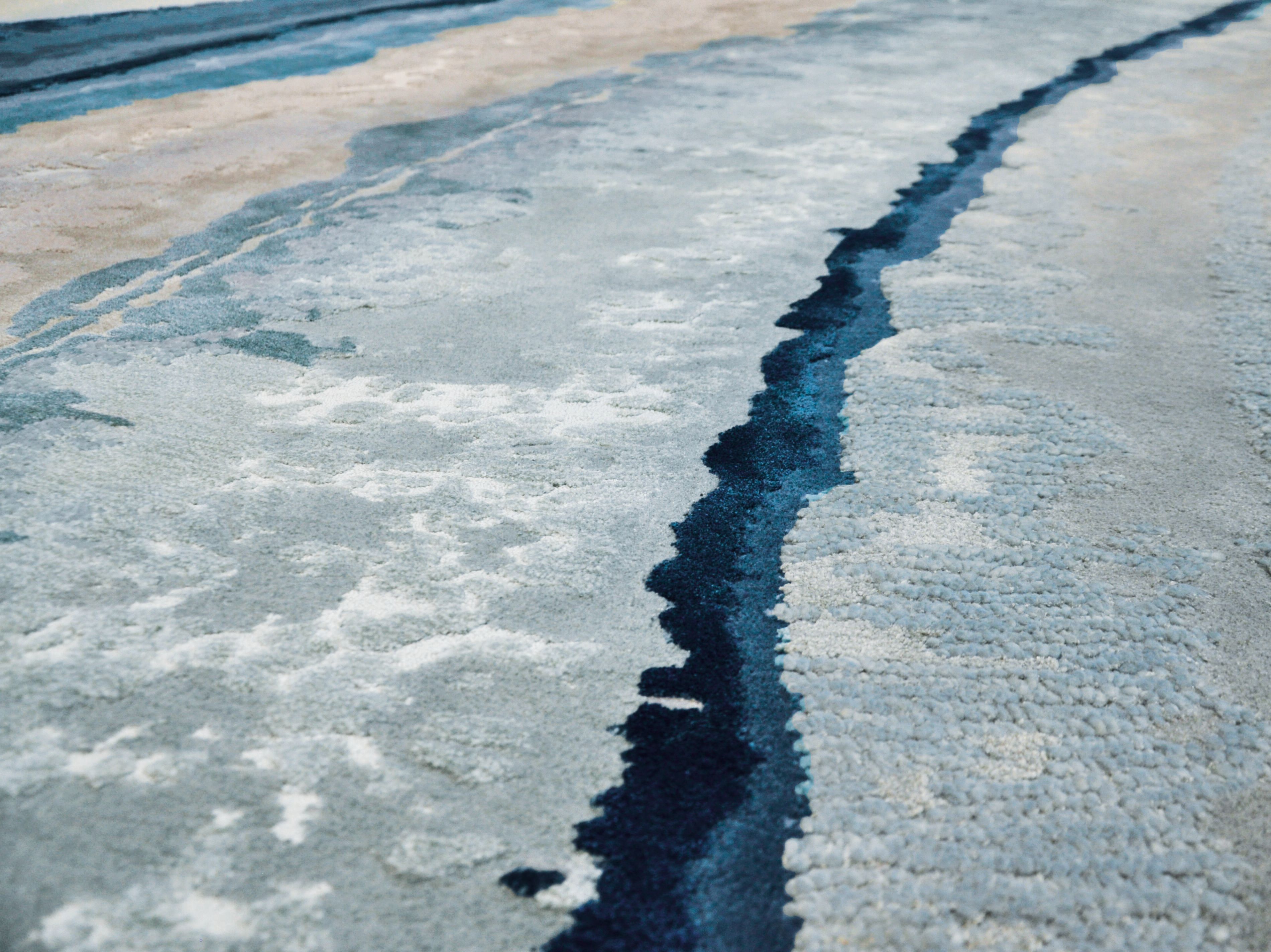 RODINIA Carpeting By Loloey