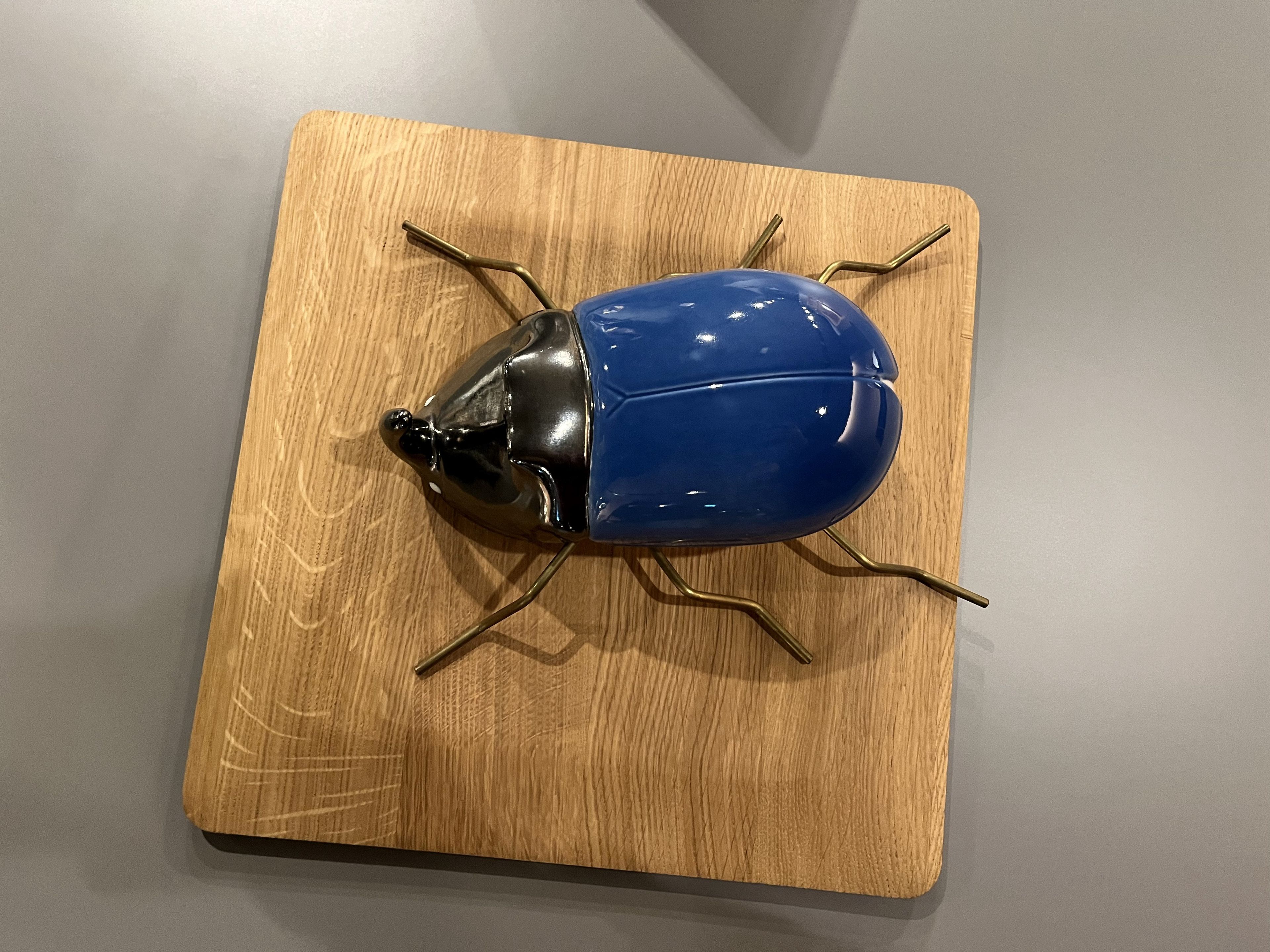 MAMBO UNLIMITED - RHINOCEROS BEETLE (DISPLAY PRODUCT) Soprammobile in ...