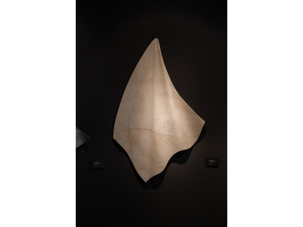 VELATA Wall decor item By MARGRAF