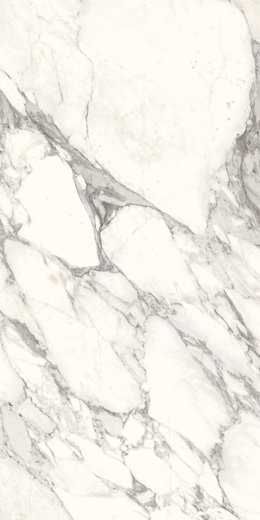 Porcelain stoneware wall/floor tiles with marble effect MARMI CLASSICI - ARABESCATO CLASSICO ...