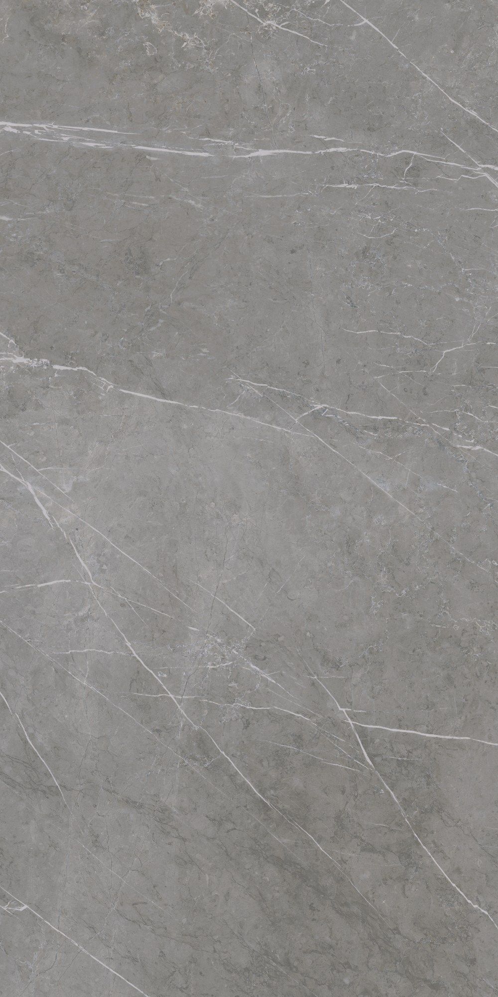 MARMI CLASSICI - GREY MARBLE Porcelain stoneware wall/floor tiles with ...