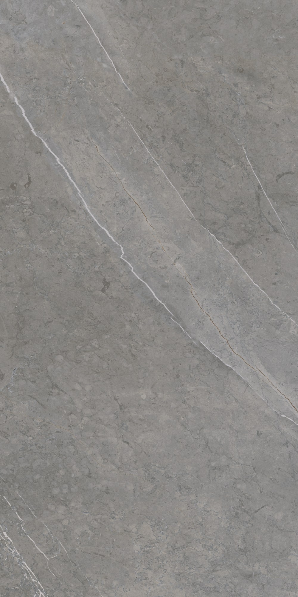 MARMI CLASSICI - GREY MARBLE Porcelain stoneware wall/floor tiles with ...
