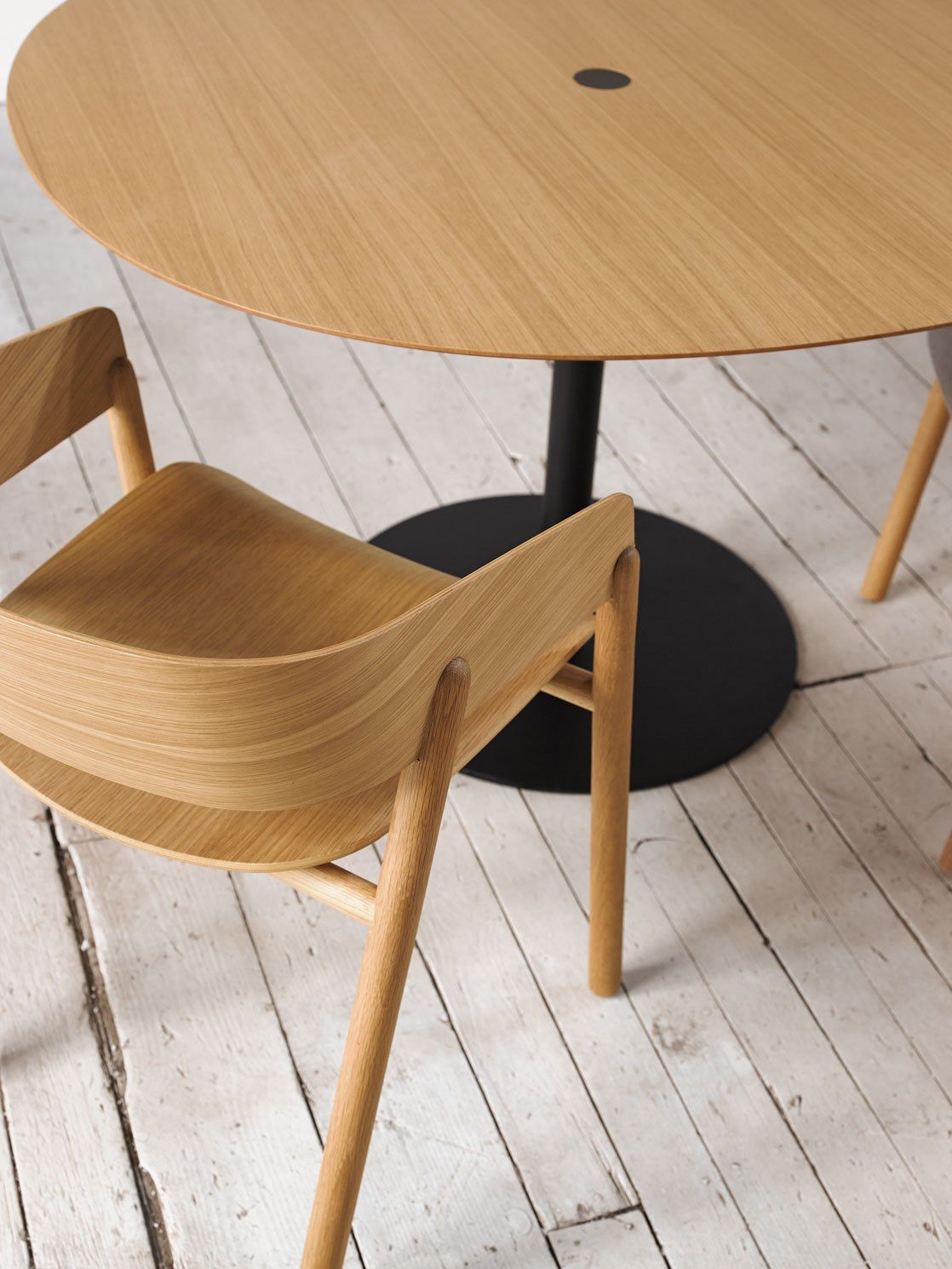 MAVA WOOD Chair By Punt | design Stephanie Jasny