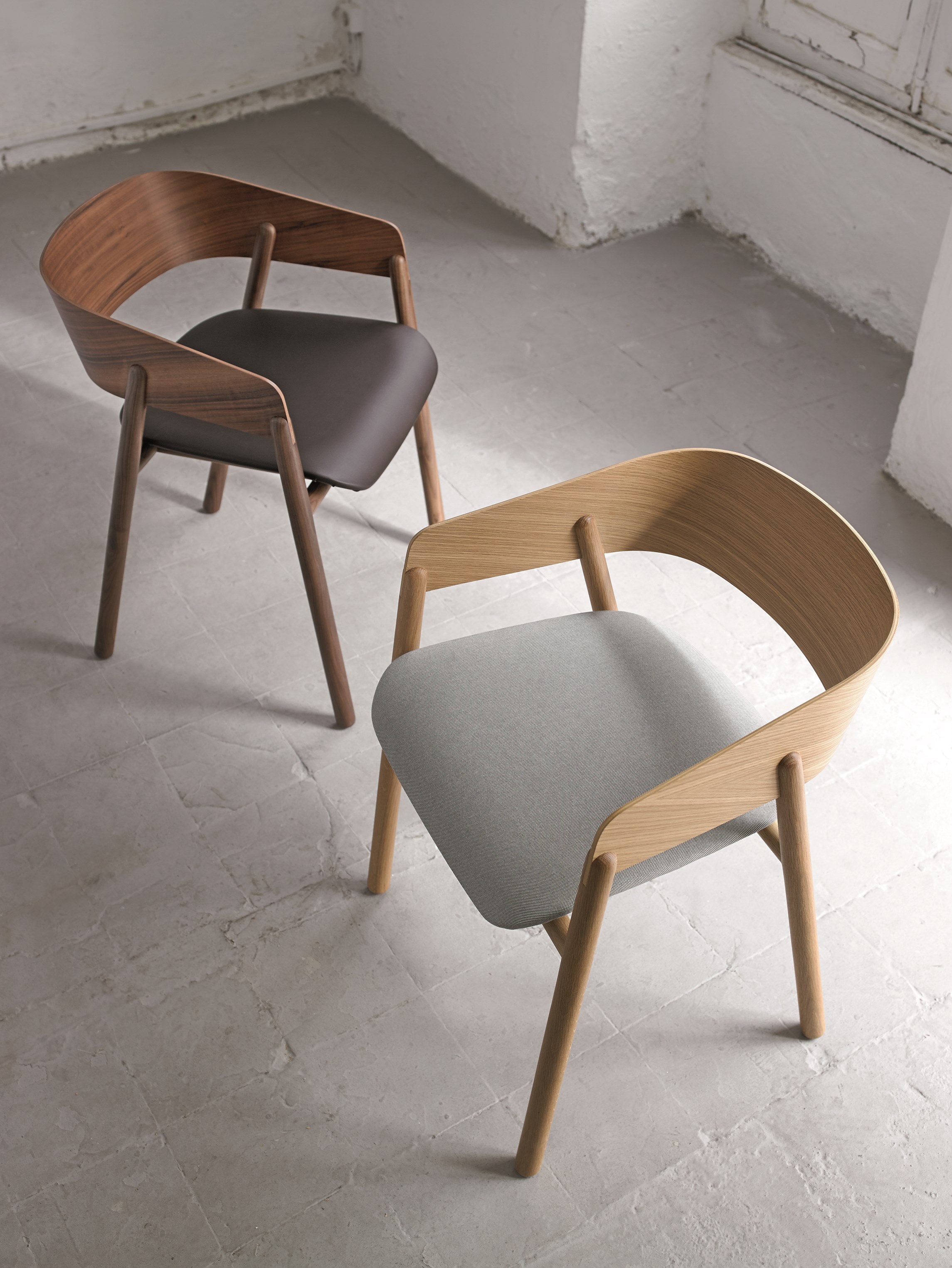 MAVA Chair By Punt | design Stephanie Jasny
