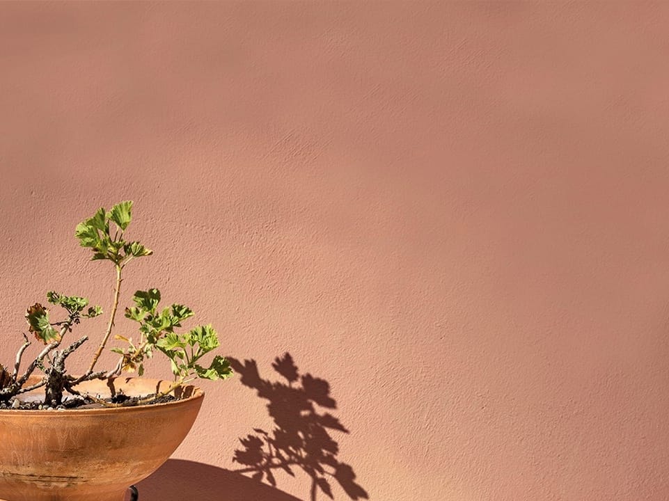 Decorative painting finish with concrete effect METEORE 10 INTONACO By ...