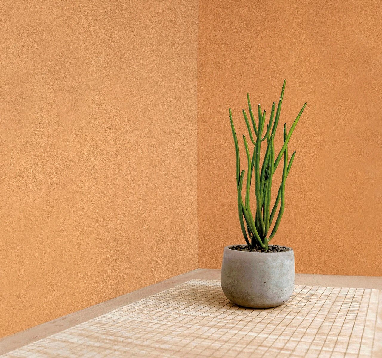 Decorative painting finish with concrete effect METEORE 10 INTONACO By ...