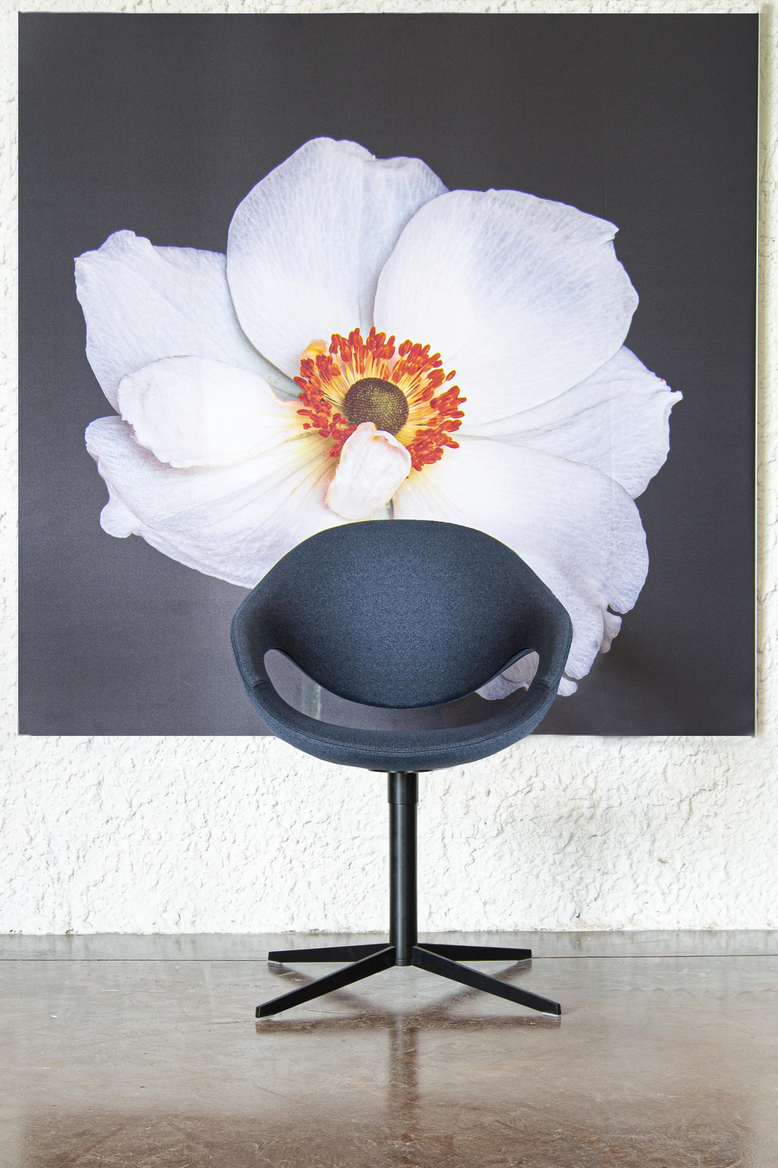 MOON | Sedia in schiuma poliuretanica integrale By Tonon design Mac Stopa